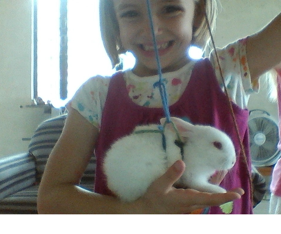 Bunney Harness : 4 Steps - Instructables