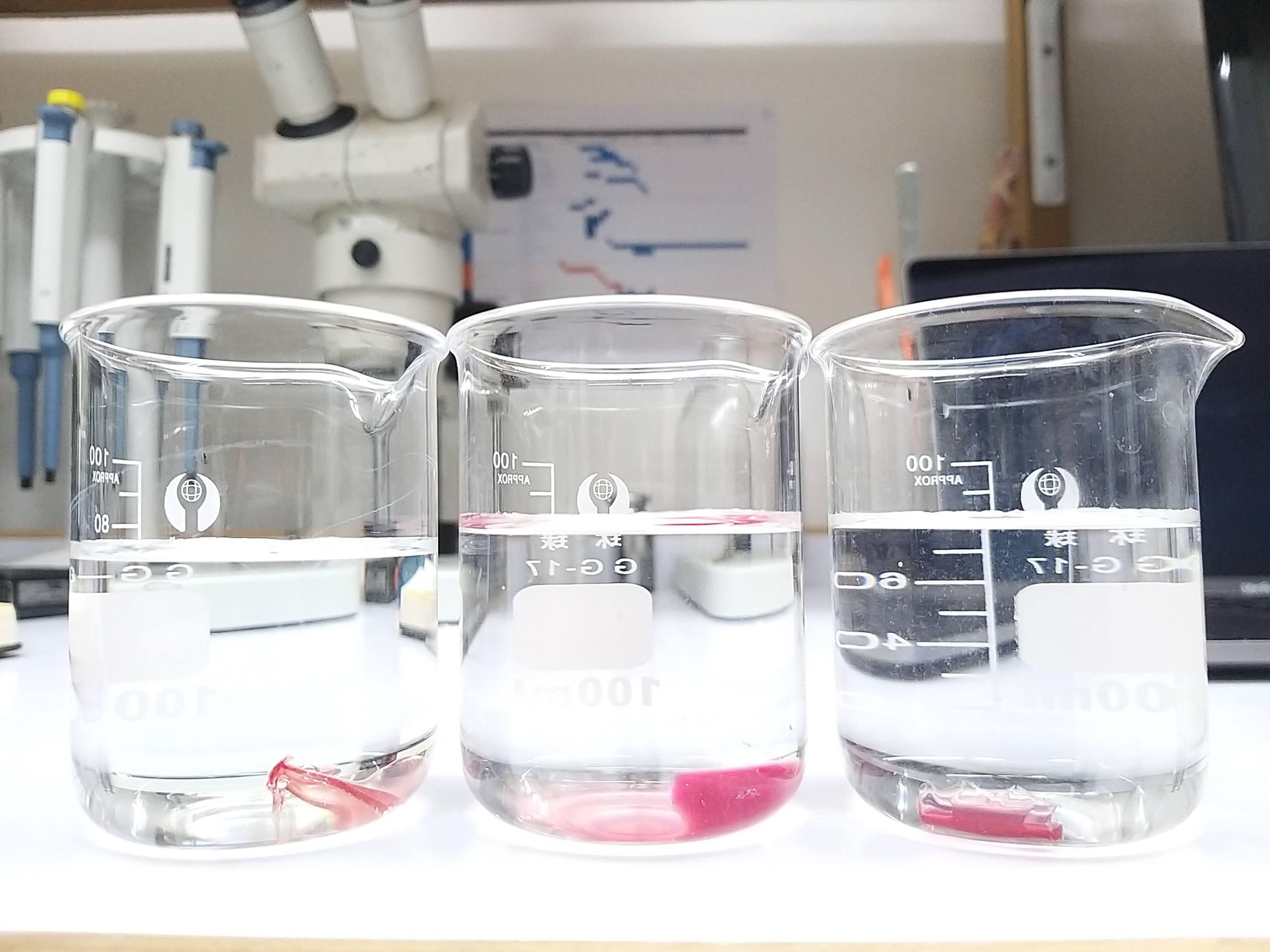 Make Your Own Bioplastics! : 4 Steps (with Pictures) - Instructables