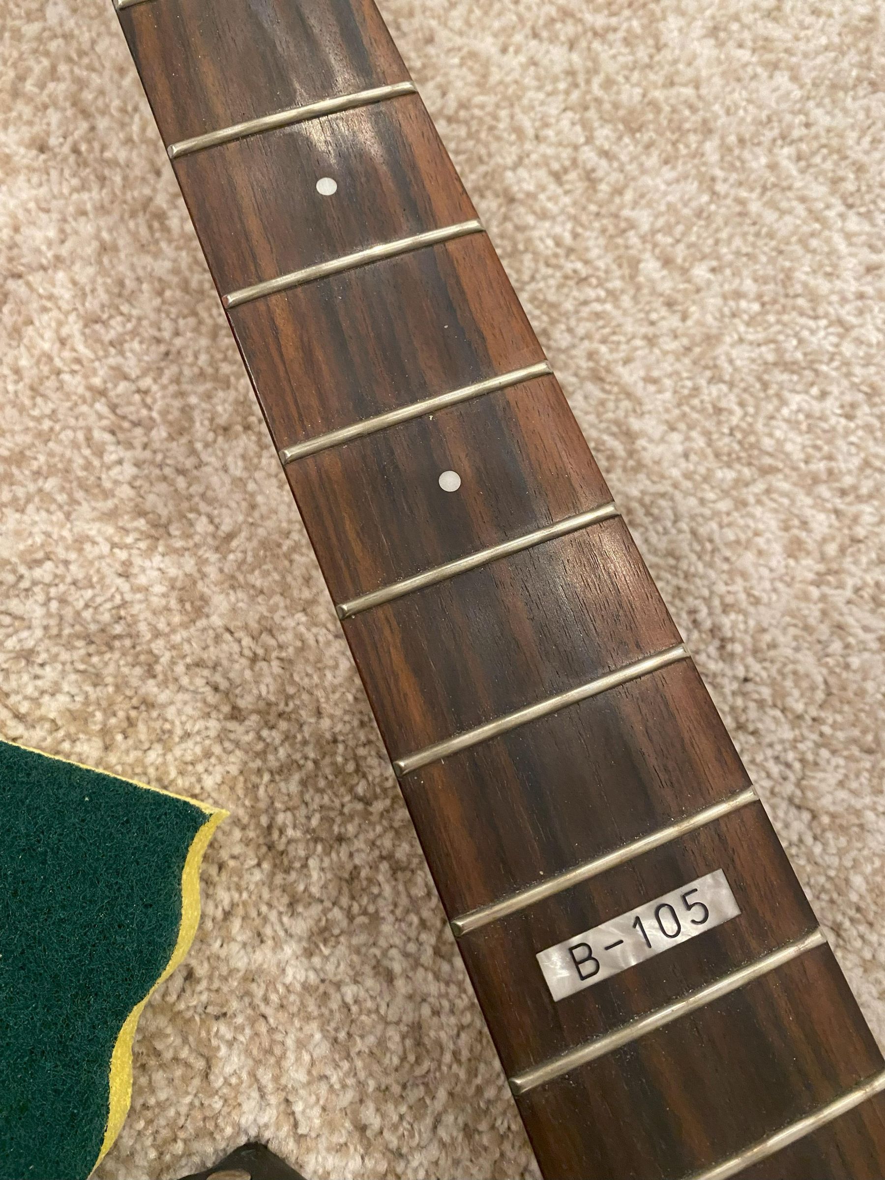 Bass Care 101: the Complete Guide to Basic Bass Care and Maintenance ...