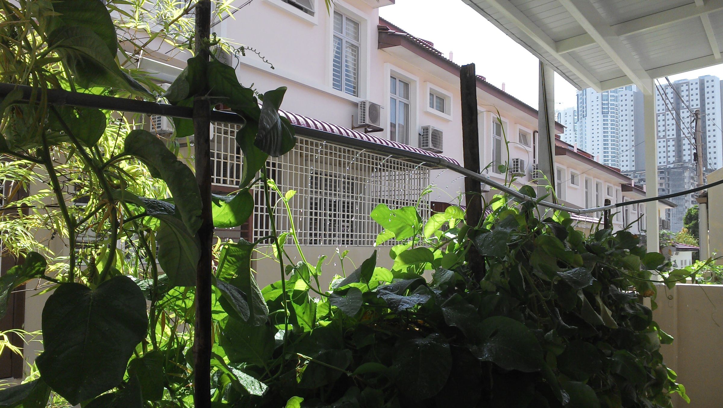 Zero Cost Watering System : 9 Steps (with Pictures) - Instructables