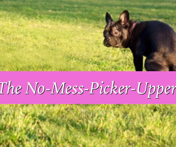 How to Build the Easy No-Mess-Picker-Upper : 7 Steps (with Pictures ...