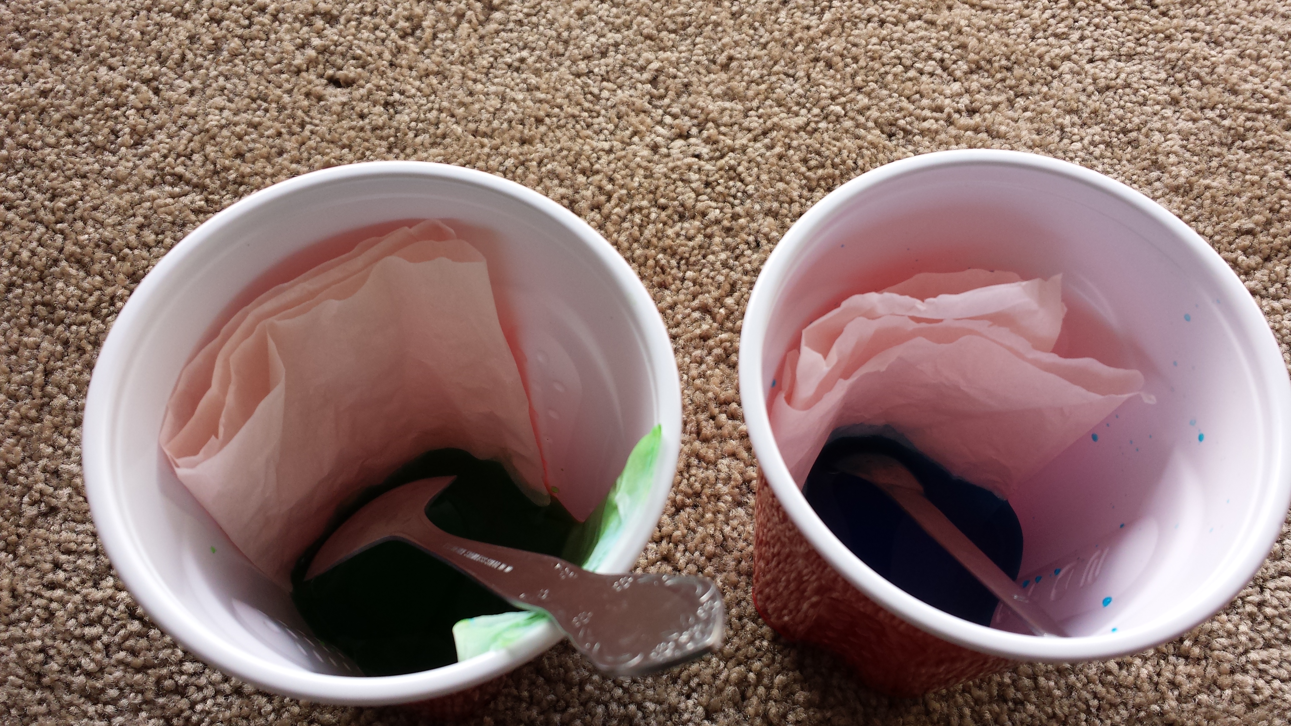 Dyeing Paper: an Exploration : 18 Steps (with Pictures) - Instructables