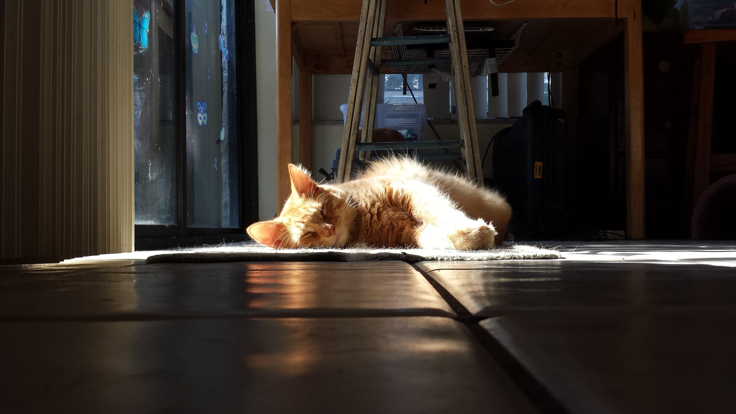 Bad Rainbows Go to Prism! : 4 Steps - Instructables