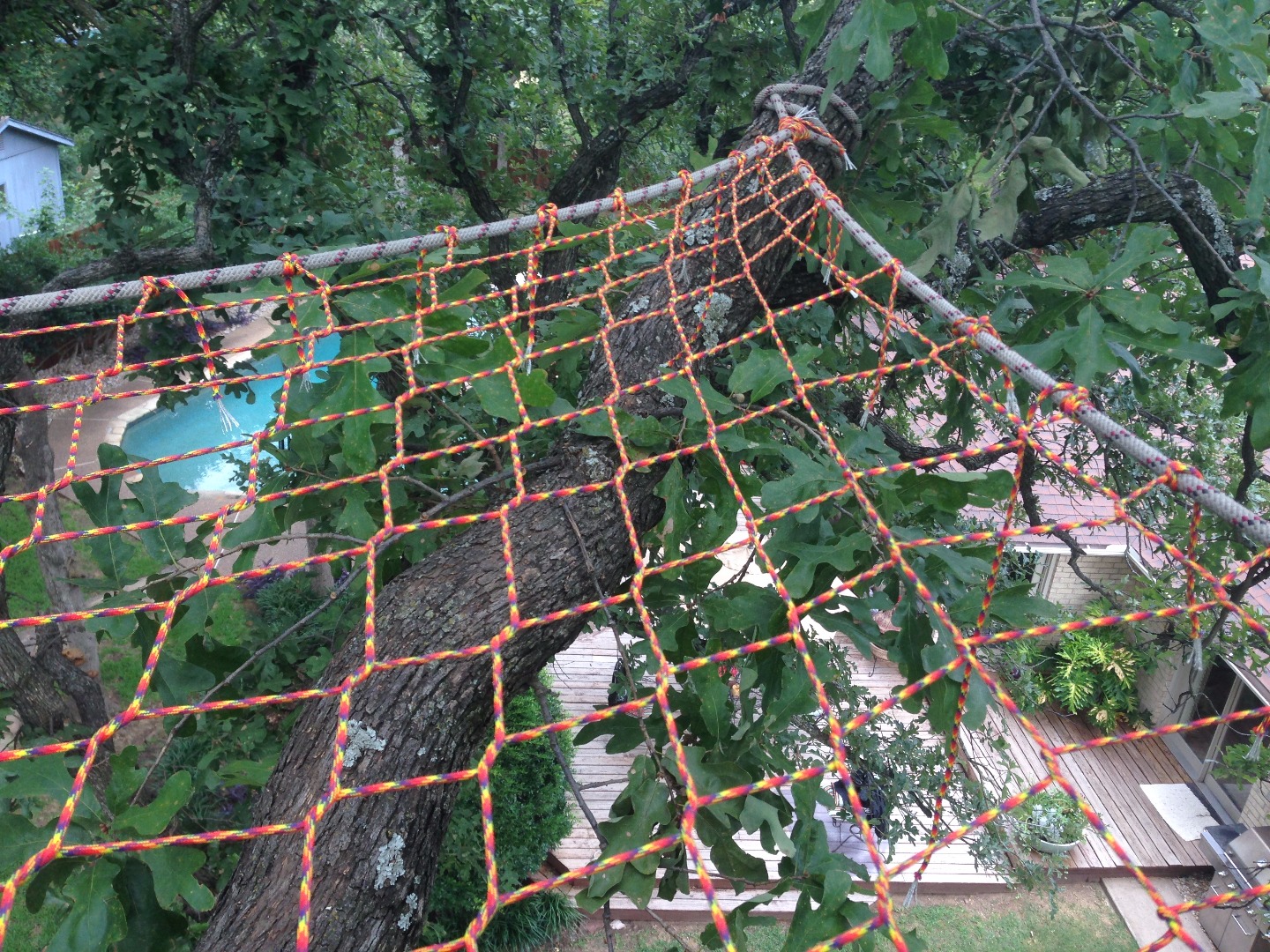 Tree Net : 5 Steps (with Pictures) - Instructables