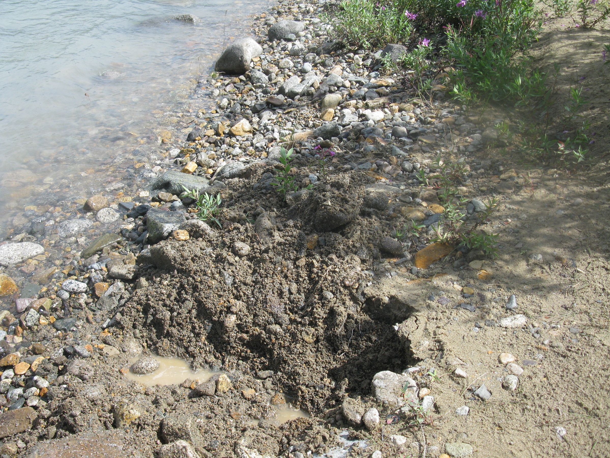 A Safe, Functional, Leave-no-trace Campfire Pit : 5 Steps - Instructables