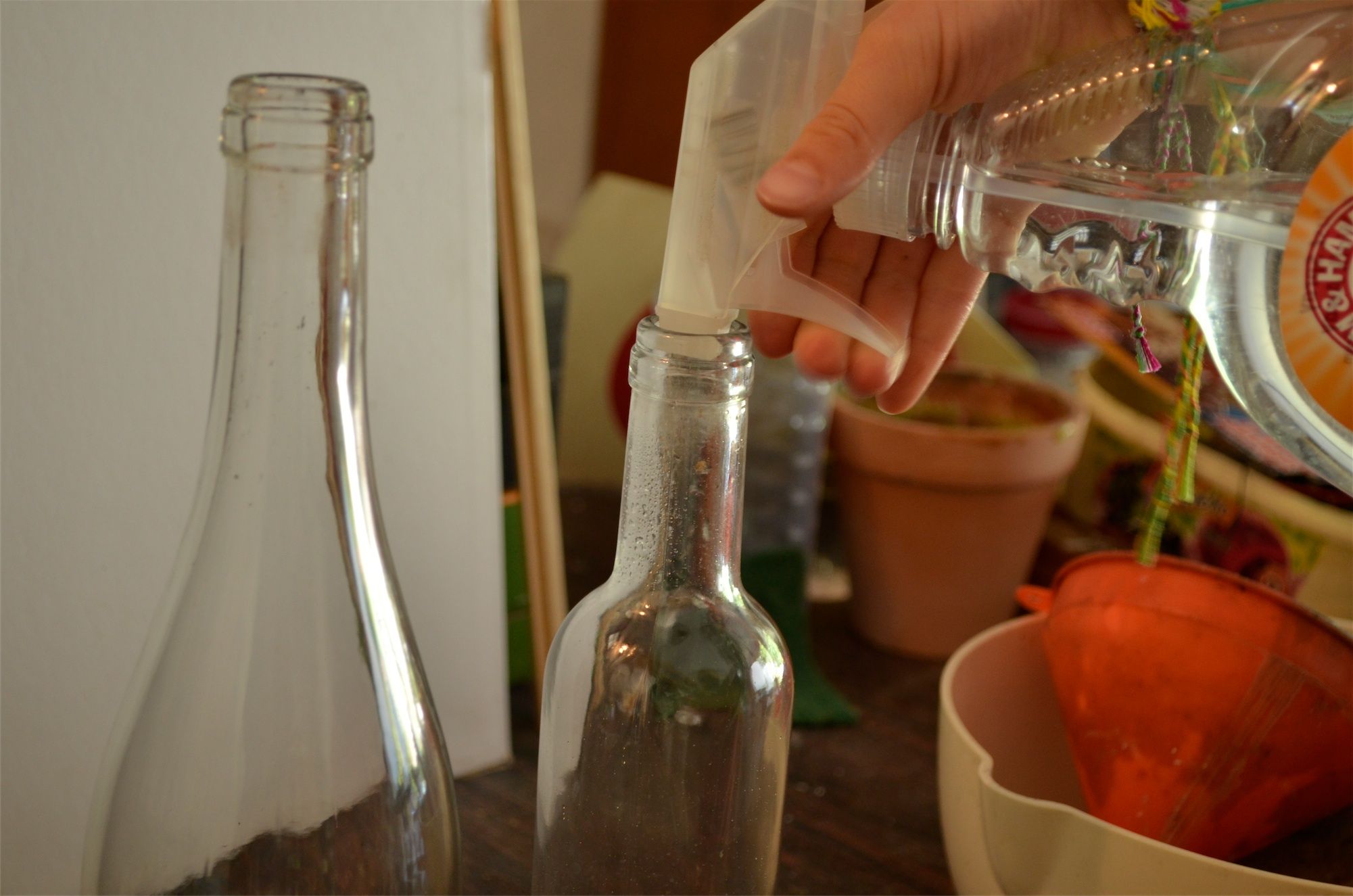 Plants in Bottles : 5 Steps (with Pictures) - Instructables