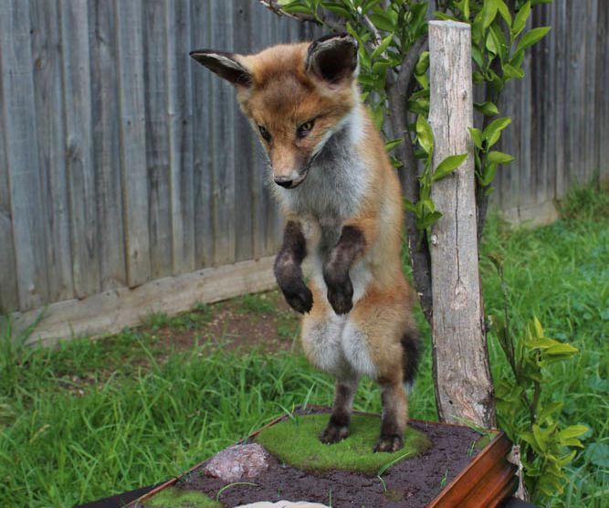 Carcass Casting : 30 Steps - Instructables