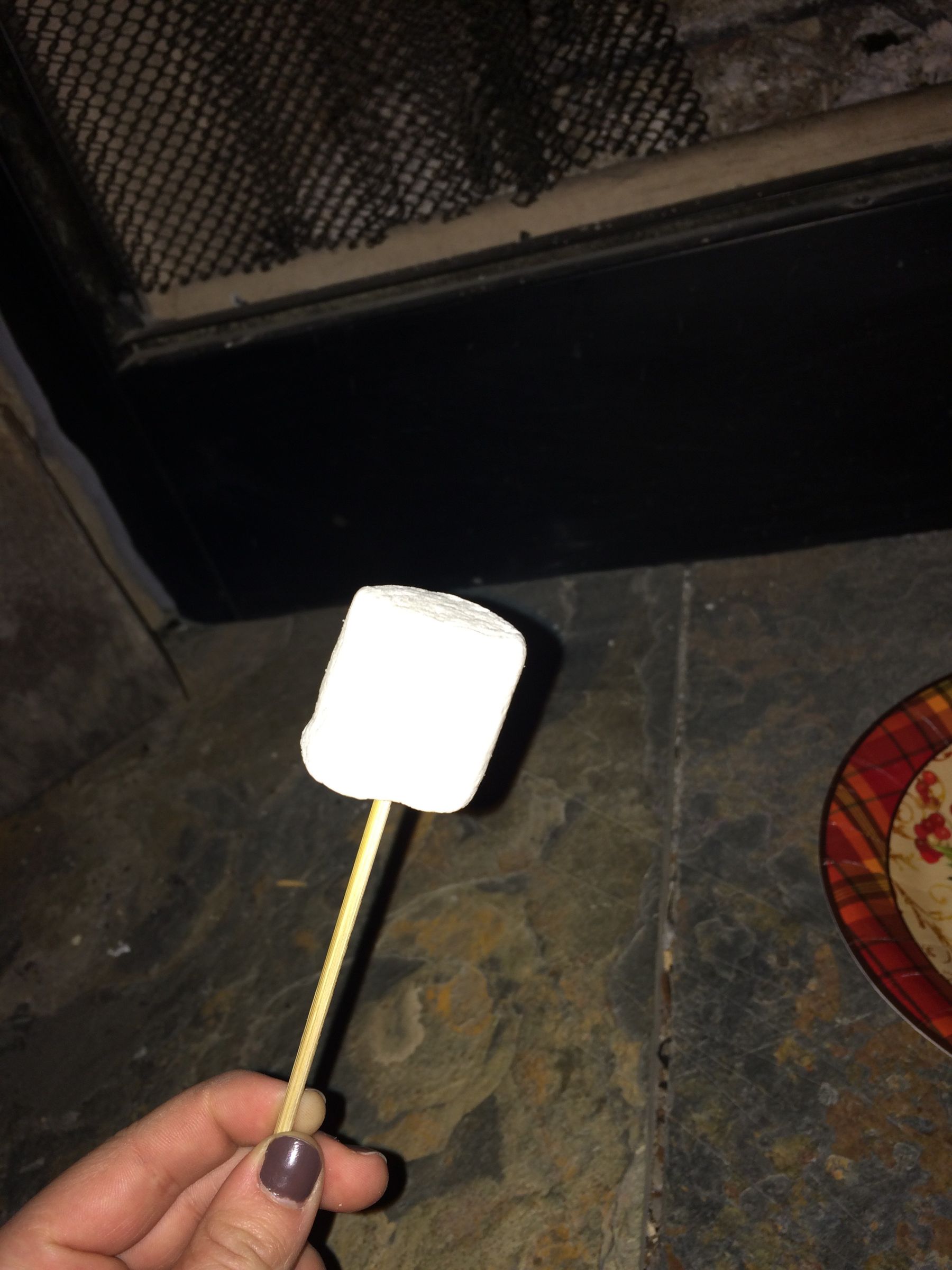 How to Roast the Perfect Marshmallow : 4 Steps - Instructables