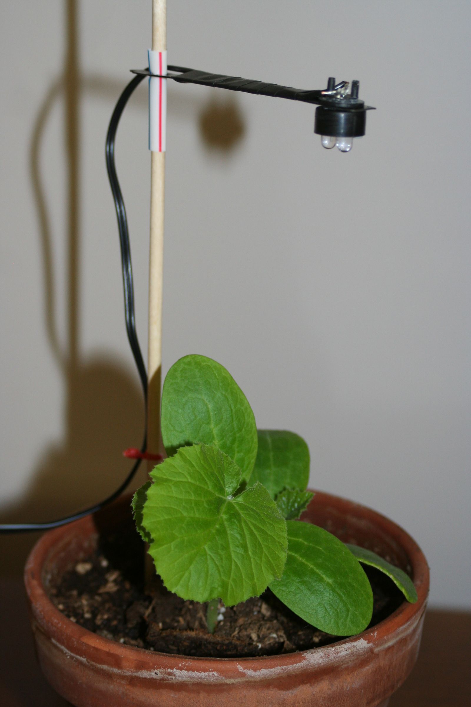 LED Grow Light : 4 Steps - Instructables