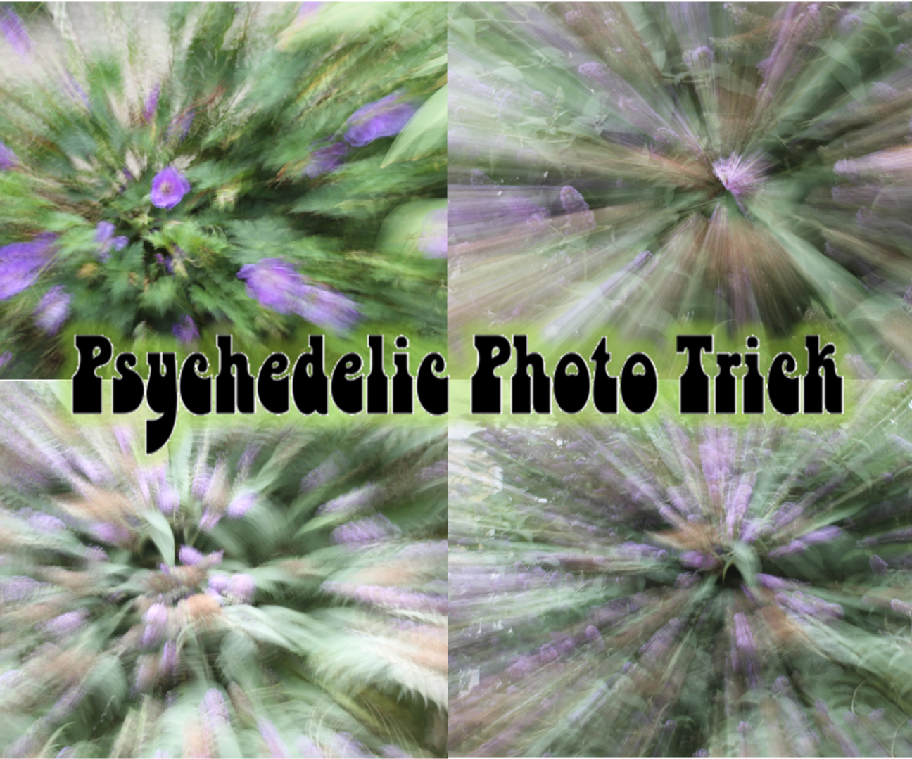 Psychedelic Camera Trick - Instructables