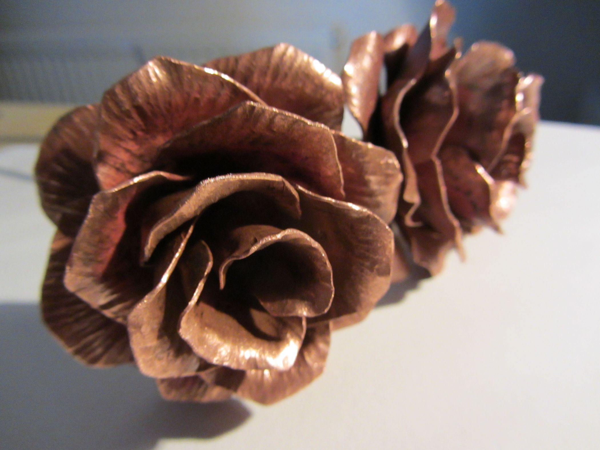 Copper Rose - an Everlasting Flower! : 11 Steps (with Pictures ...