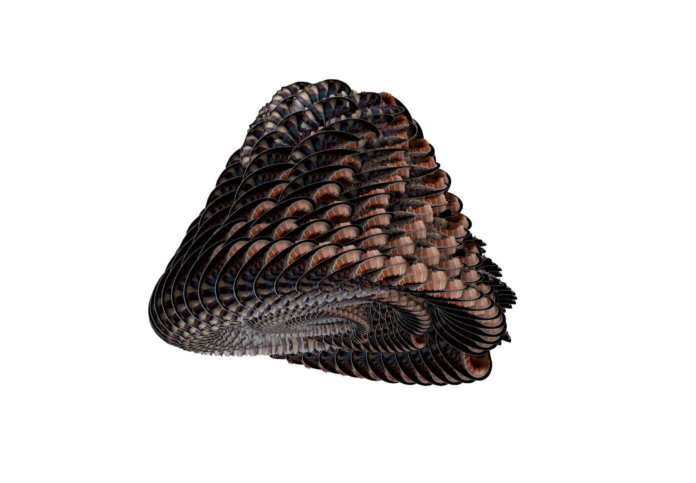 Angulate Wentletrap Inspired Shell : 7 Steps (with Pictures ...