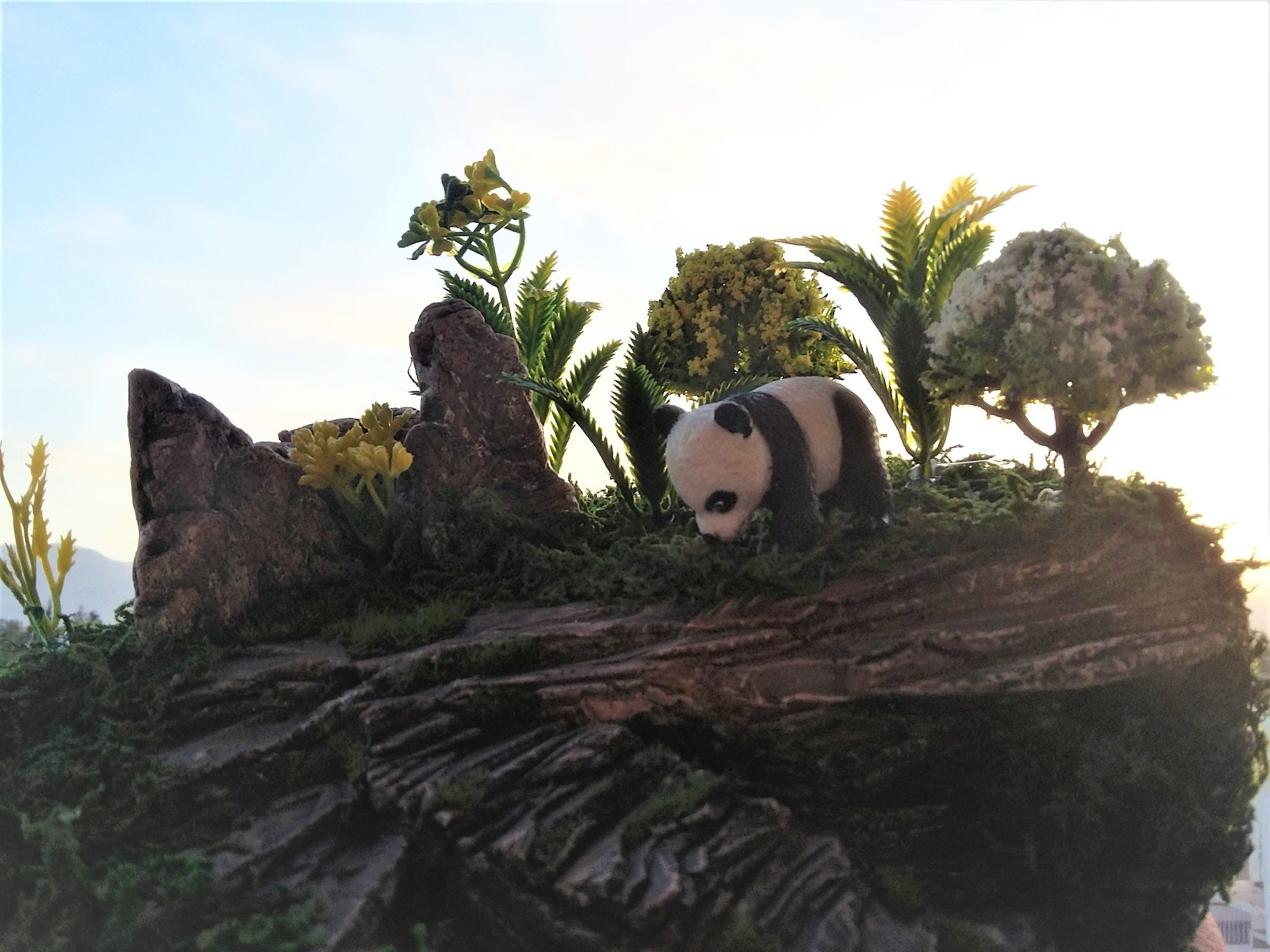 How to Make Realistic Jungle Diorama|Panda Diorama|Easy Art & Craft ...