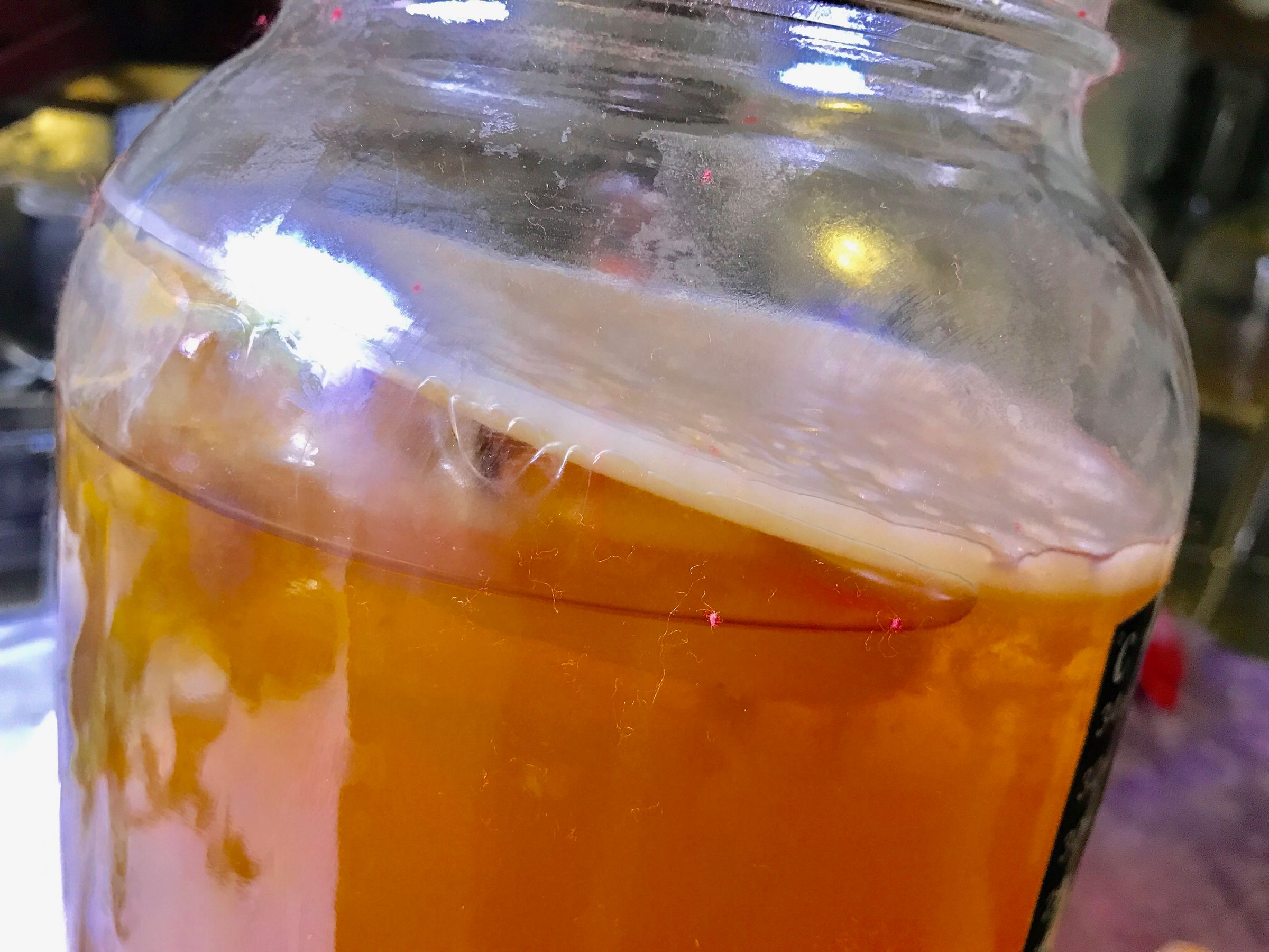 How to Grow a SCOBY : 4 Steps (with Pictures) - Instructables