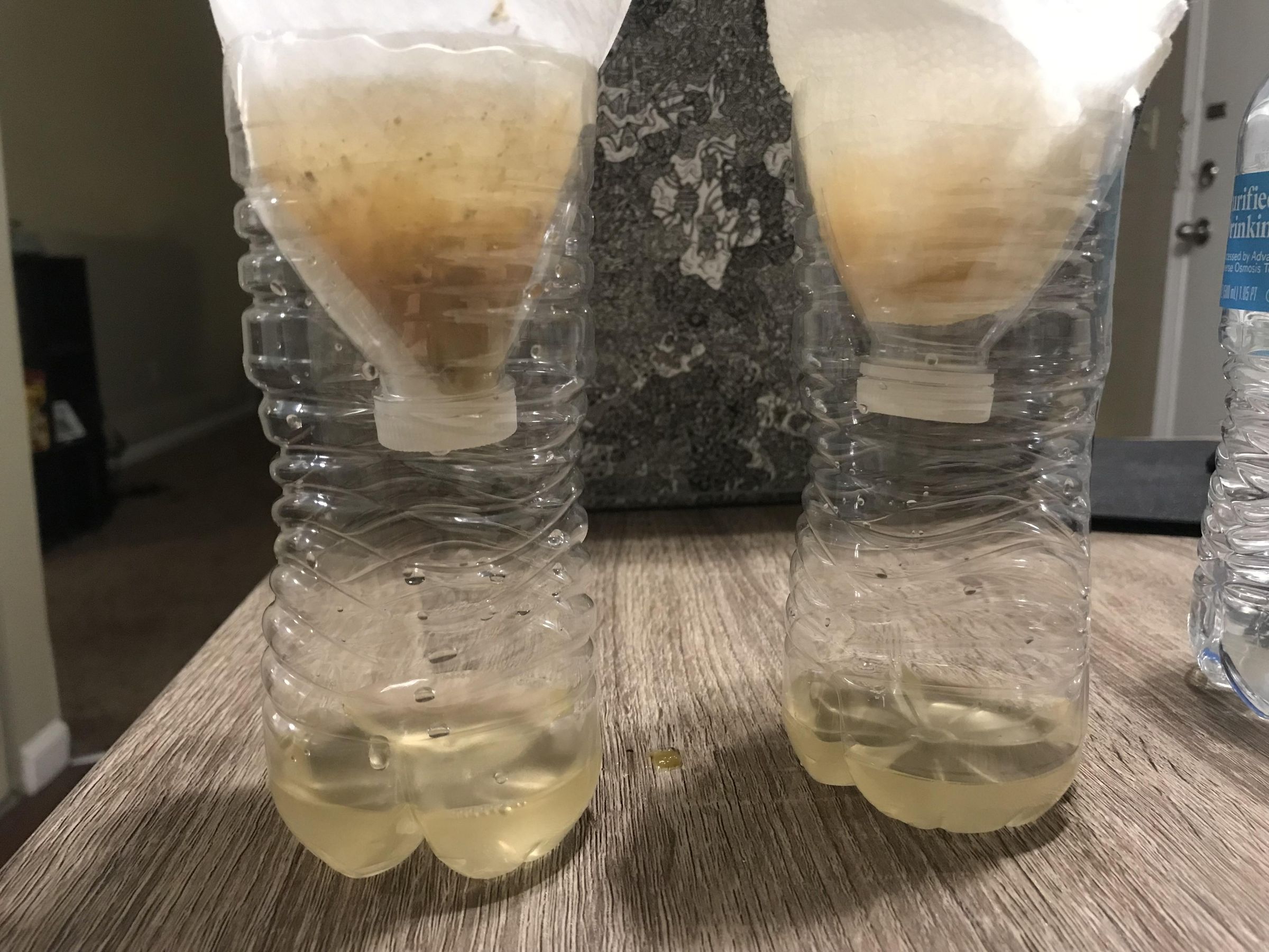 Simple Water Filtration System Experiment : 7 Steps - Instructables