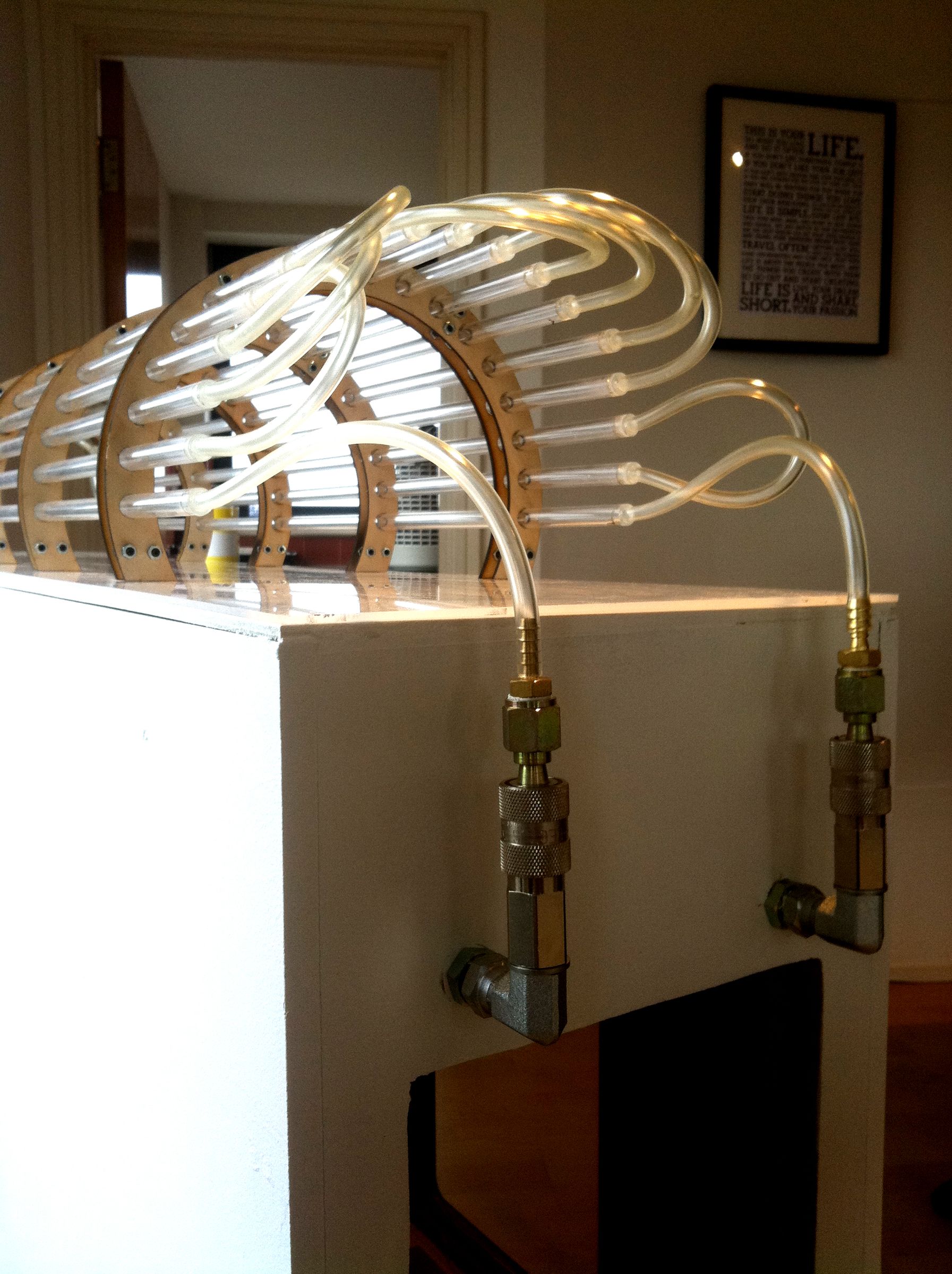 The Algae Experiment: How to Build Your Own Algae Photo-bioreactor ...
