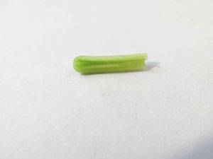 Flower Dissection! : 6 Steps (with Pictures) - Instructables