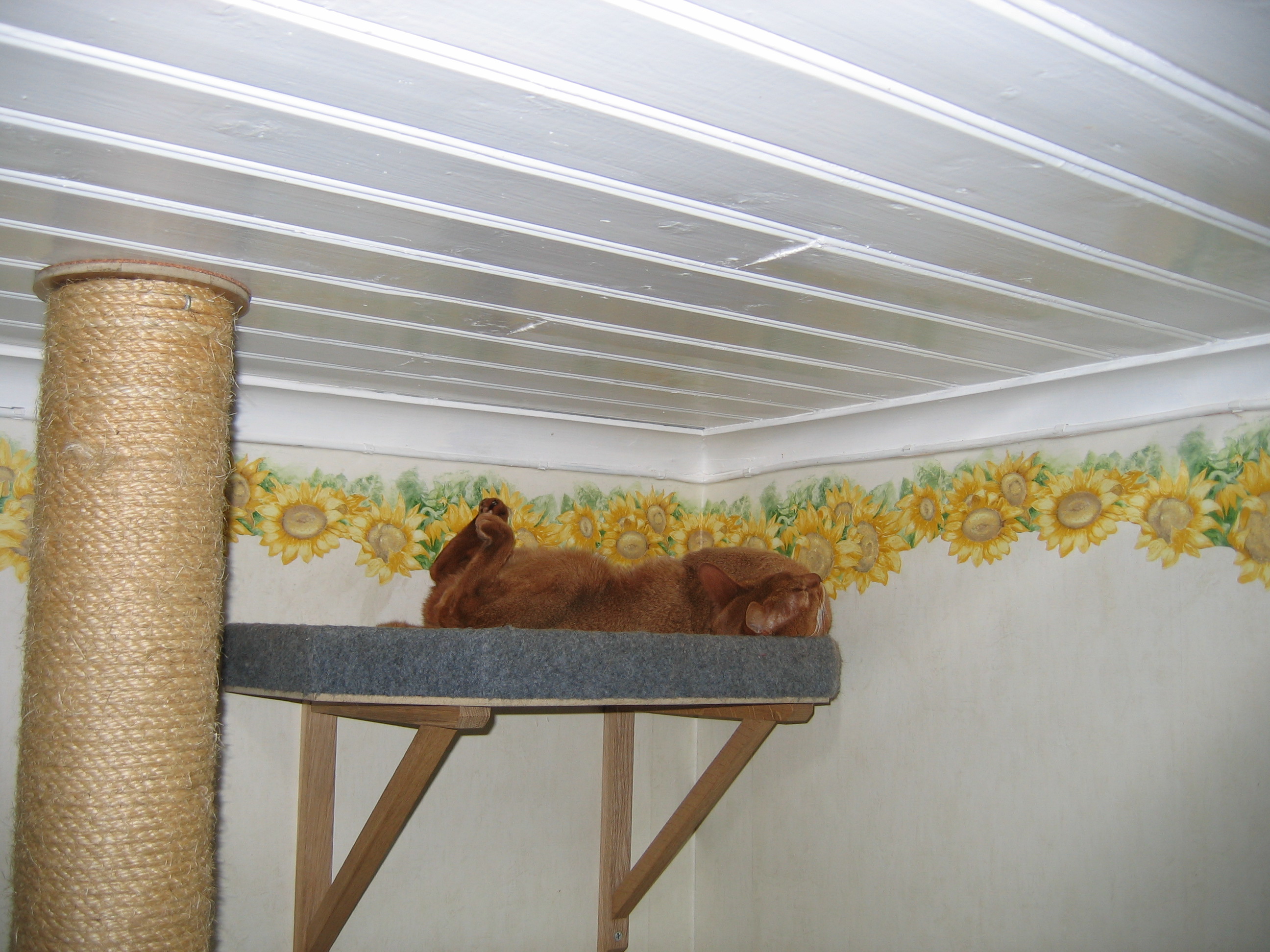 Full Size Cat Scratching / Climbing Post : 7 Steps - Instructables