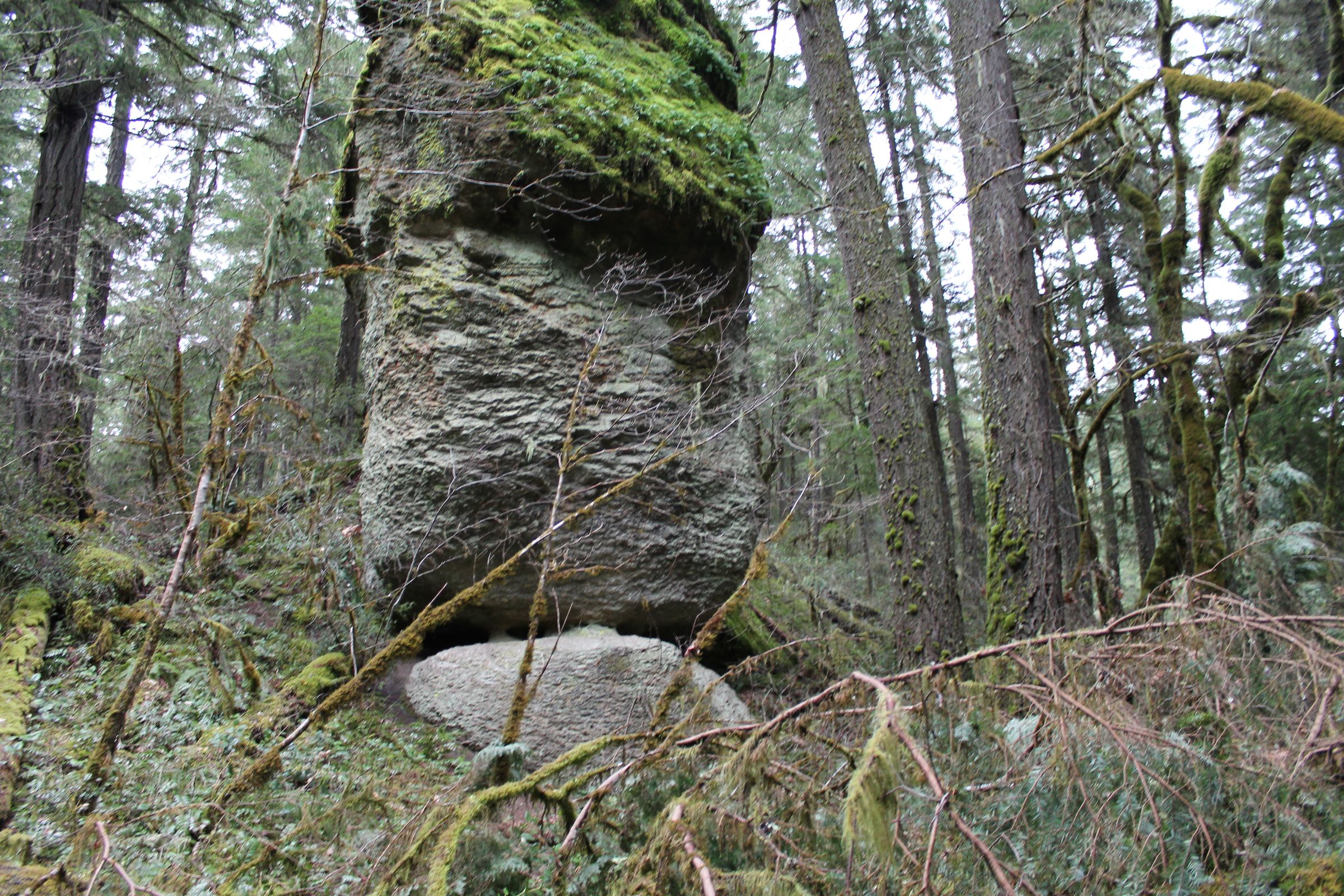 Letterboxing: the Secret Scavenger Hunt Game : 12 Steps (with Pictures ...