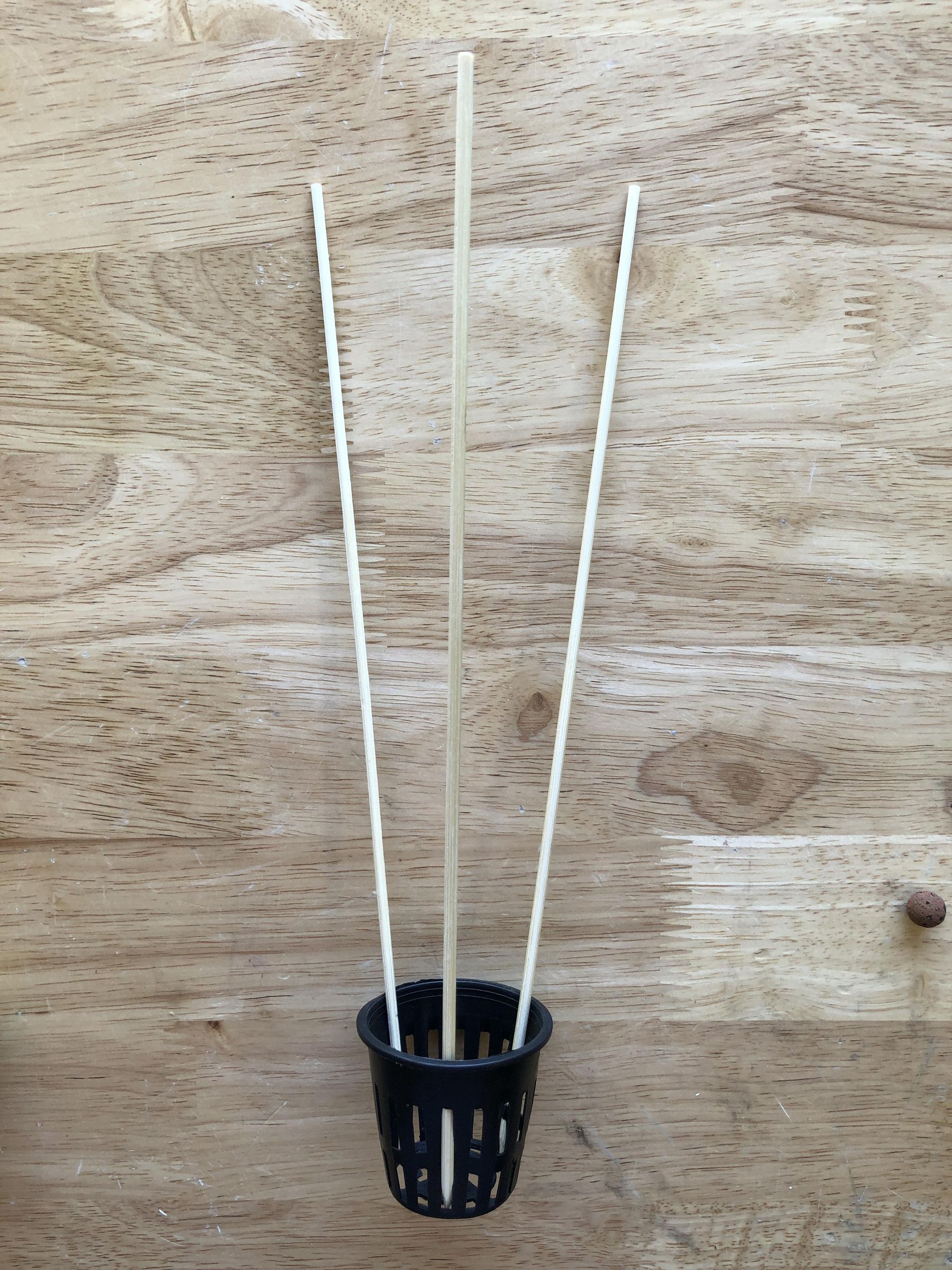 Mini Kratky Jars - Easy Hydroponics : 12 Steps (with Pictures ...