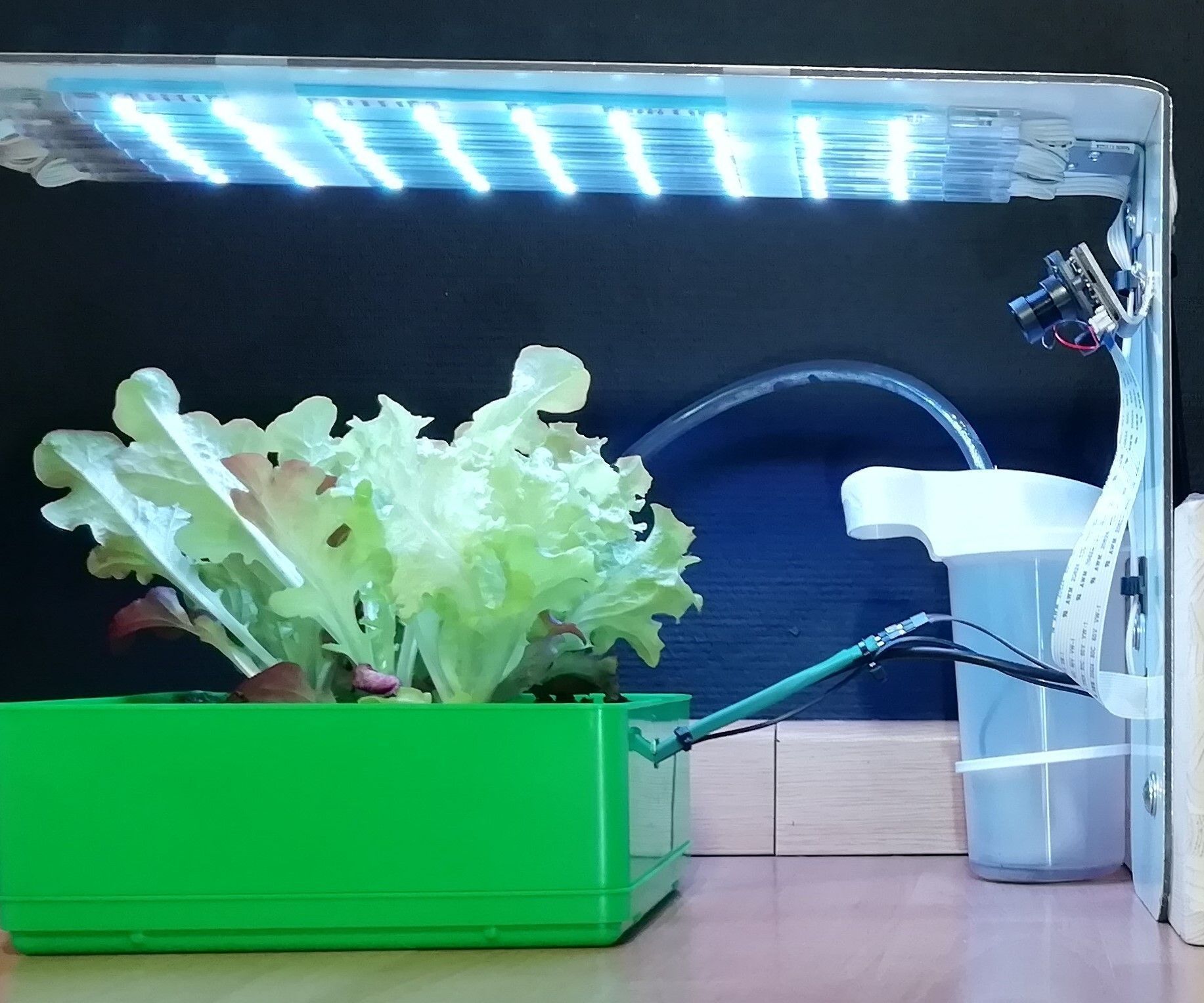 Smart Plant Controller : 8 Steps - Instructables