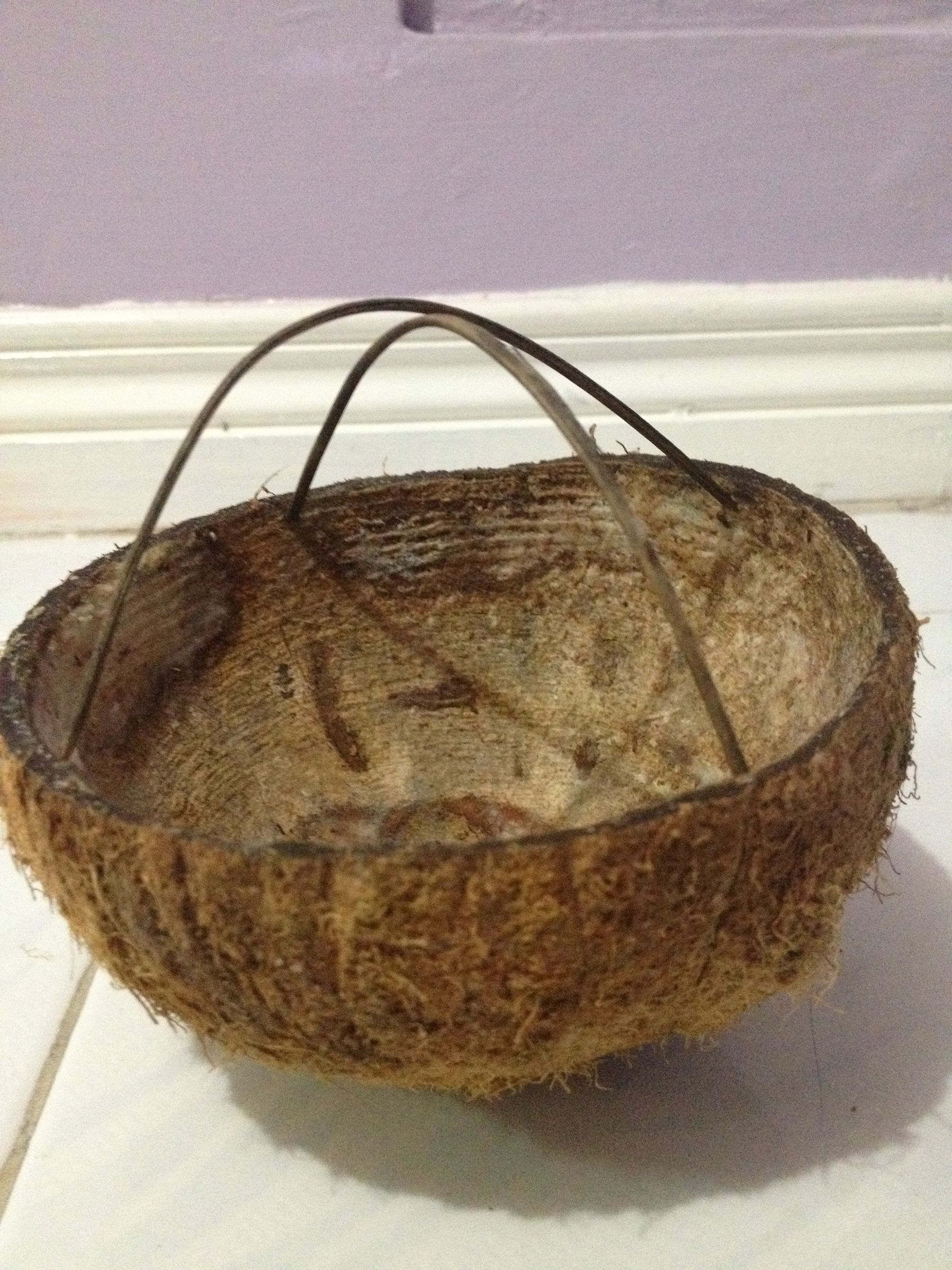 Ancient Chicken Trap : 5 Steps (with Pictures) - Instructables