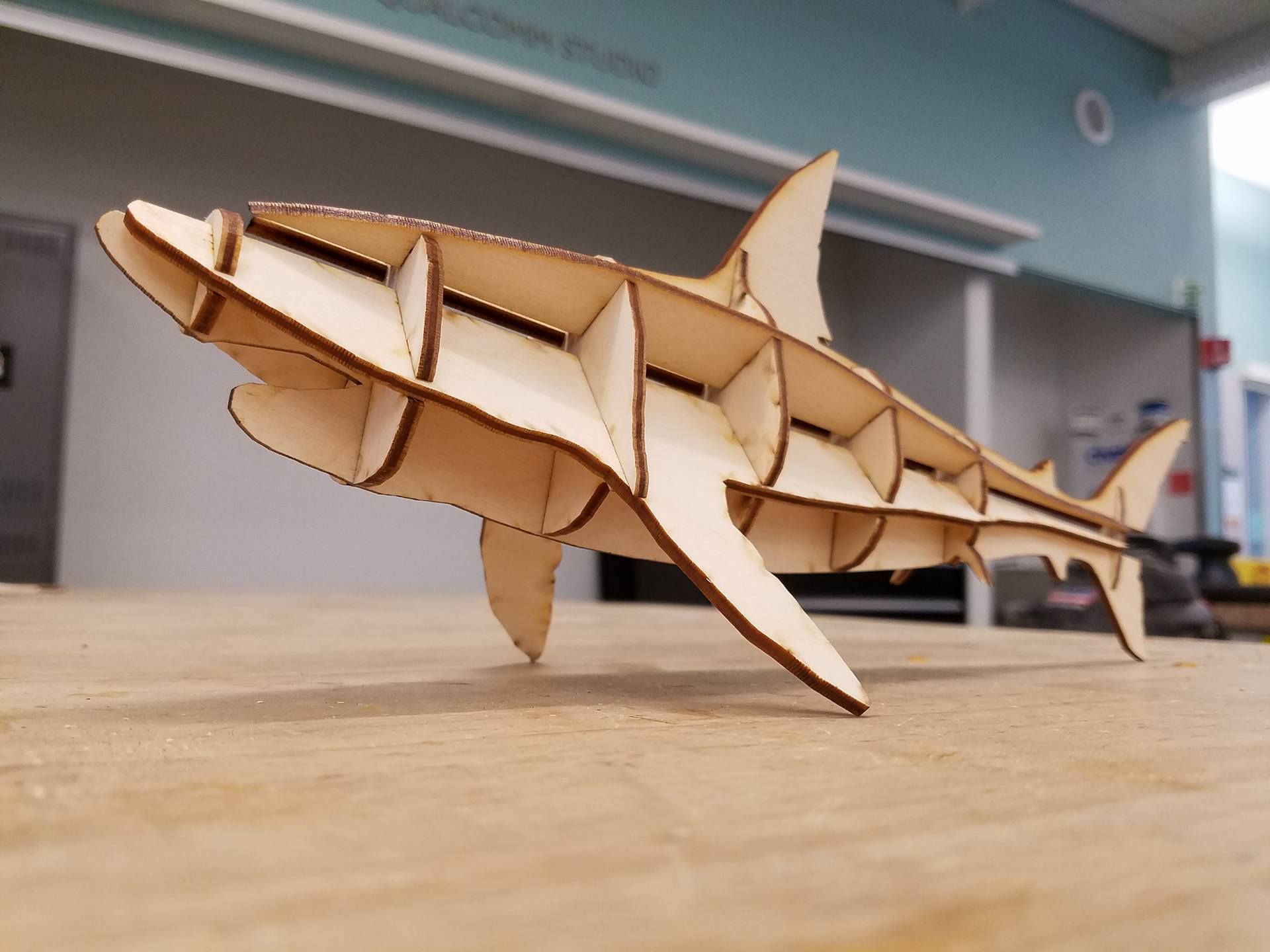 Laser Cut Shark : 4 Steps (with Pictures) - Instructables