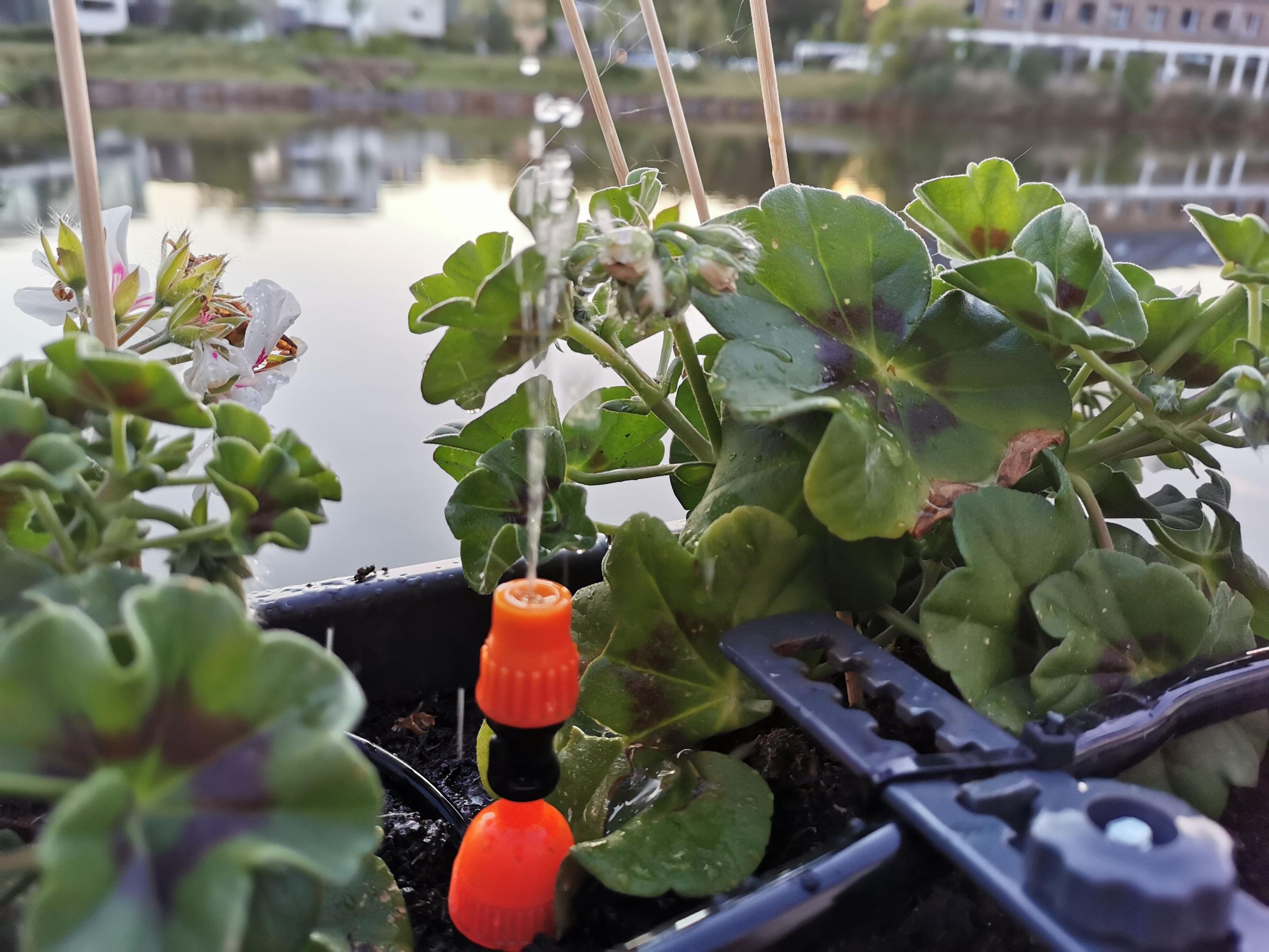 Smart WiFi Controlled Irrigation System Using Home Assistant and ...