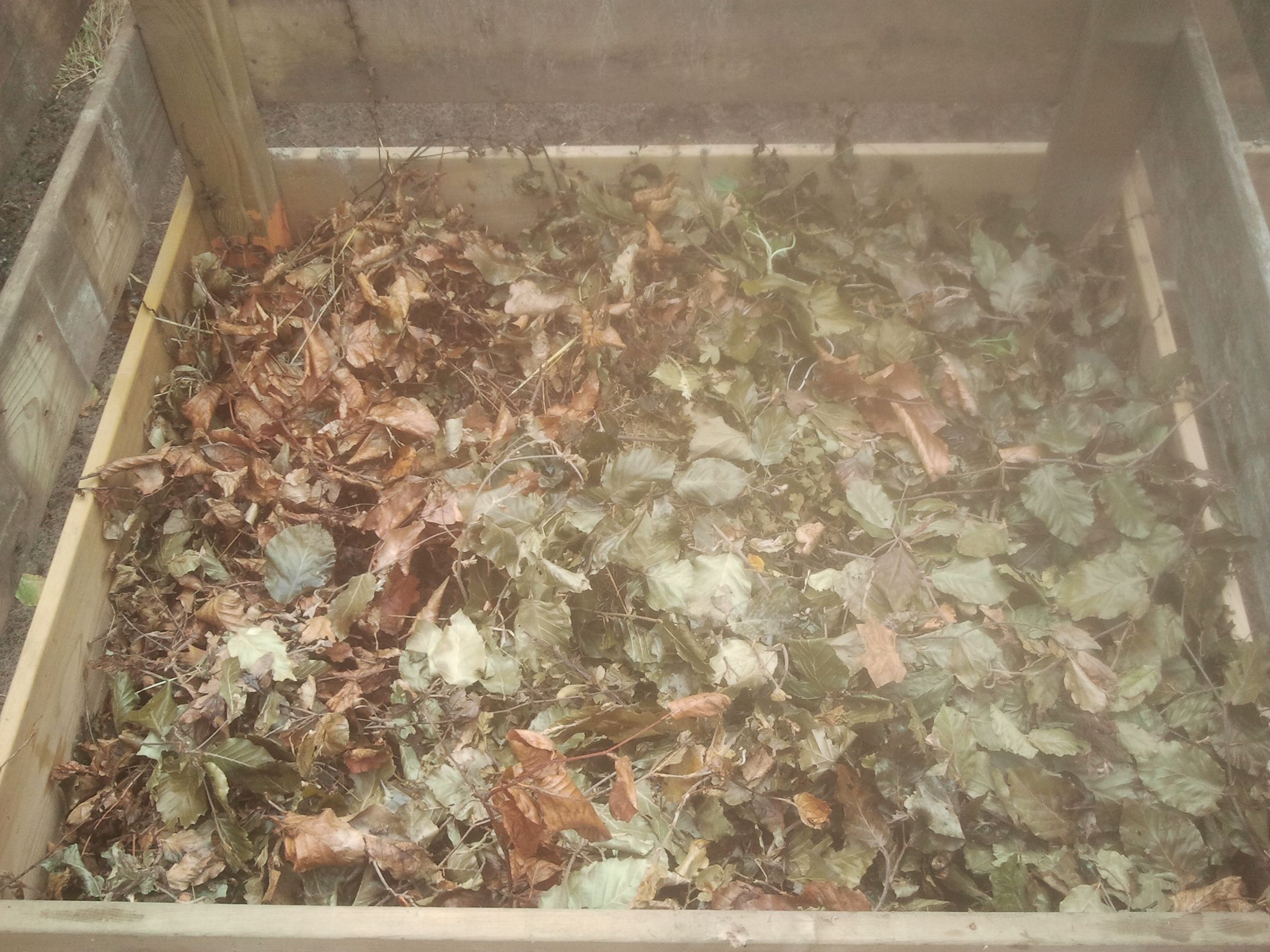 Compost : 3 Steps - Instructables