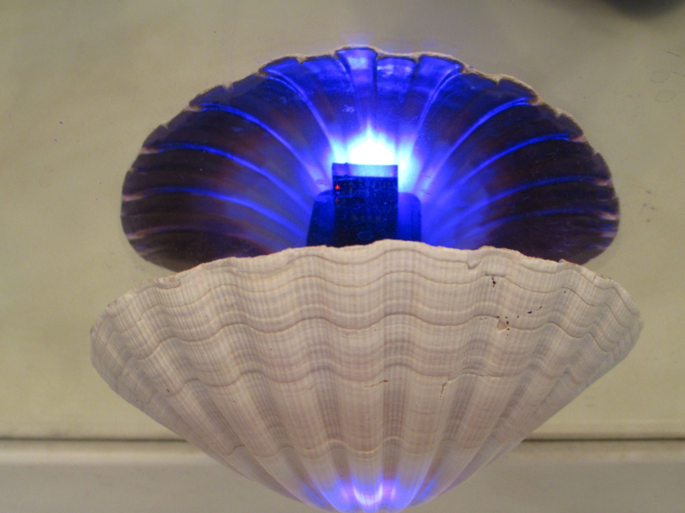 Color Changing Night Light : 5 Steps (with Pictures) - Instructables