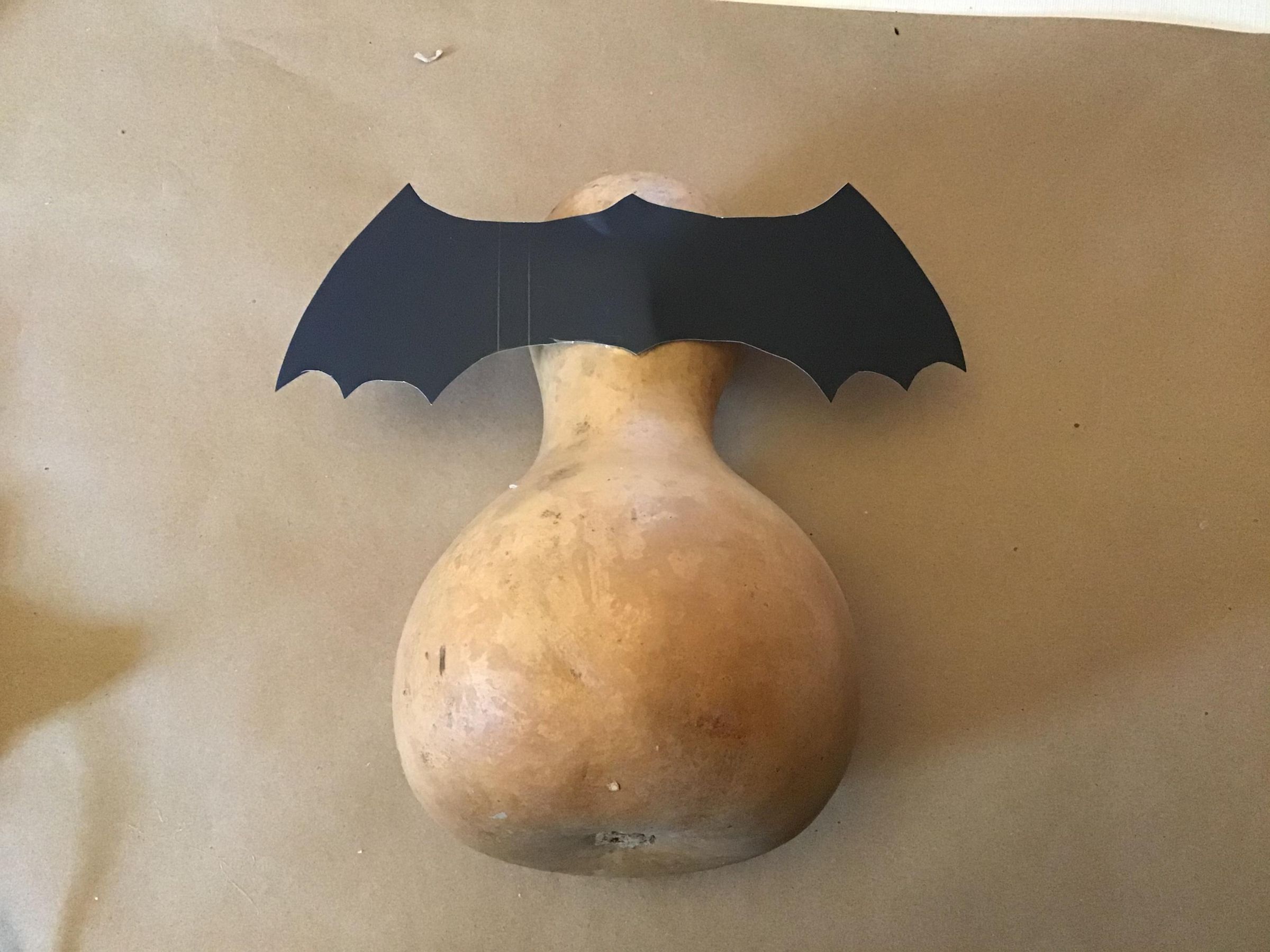 Pumpkin Bat Gourd : 6 Steps (with Pictures) - Instructables