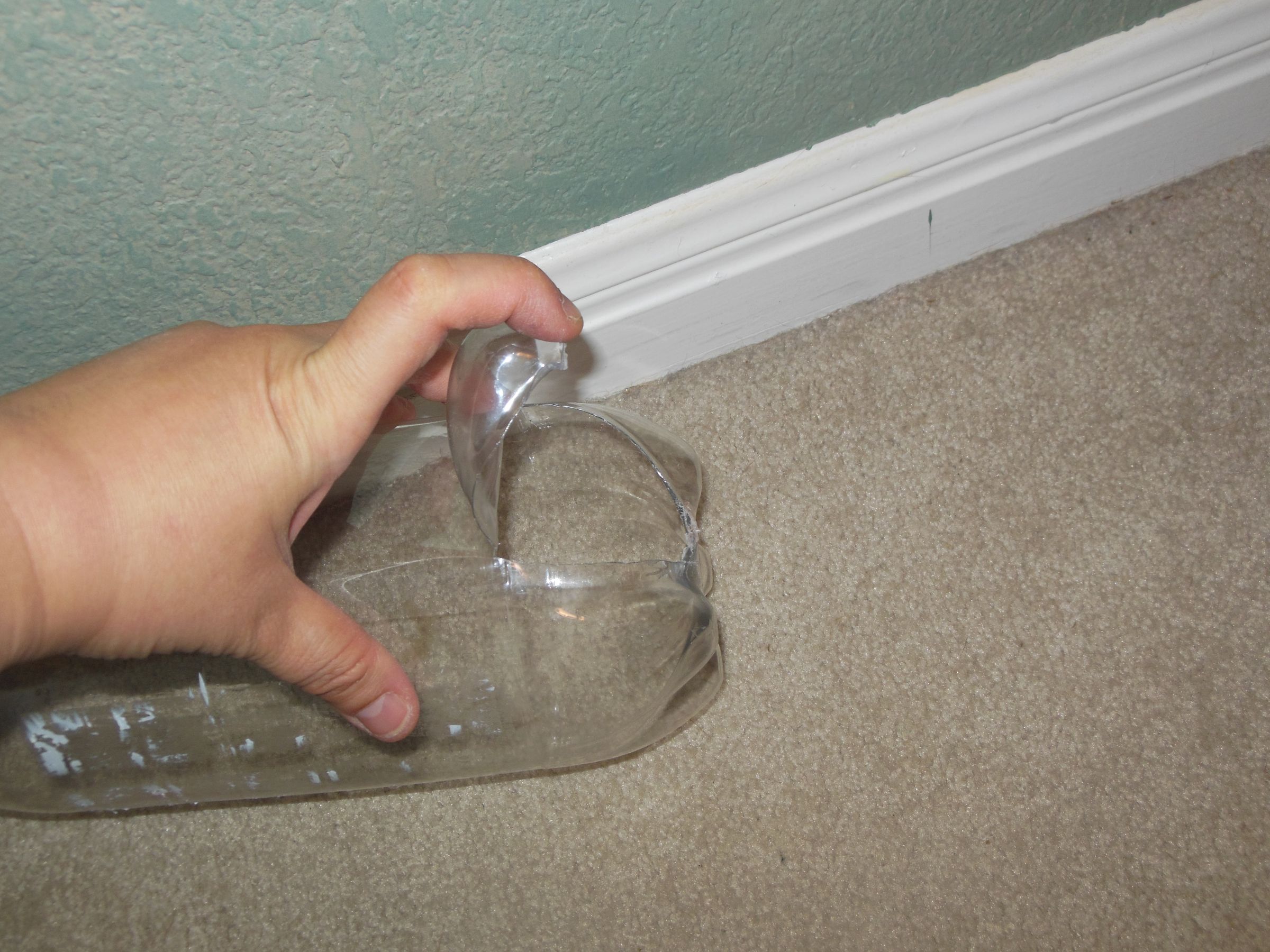 Stop Critters From Eating Sunflowers - Instructables