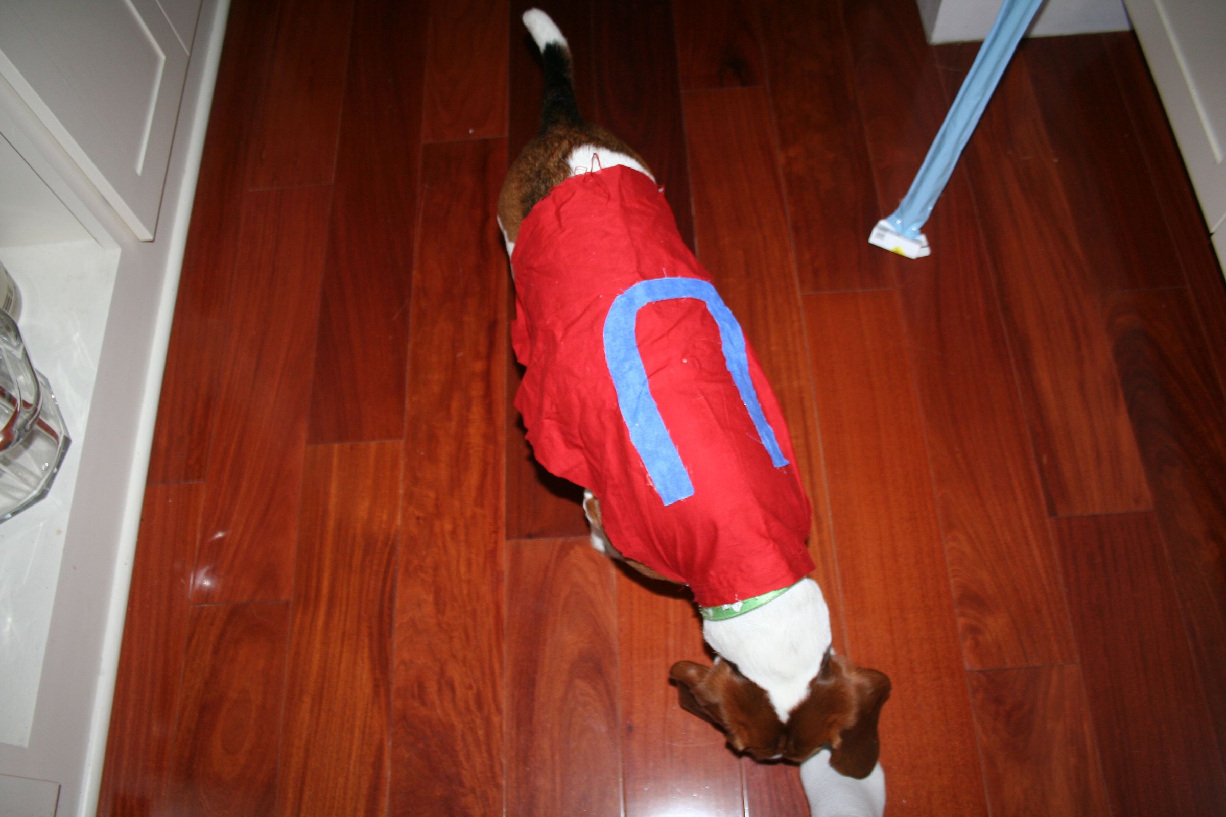 Underdog Cape for Your Dog!! : 6 Steps - Instructables