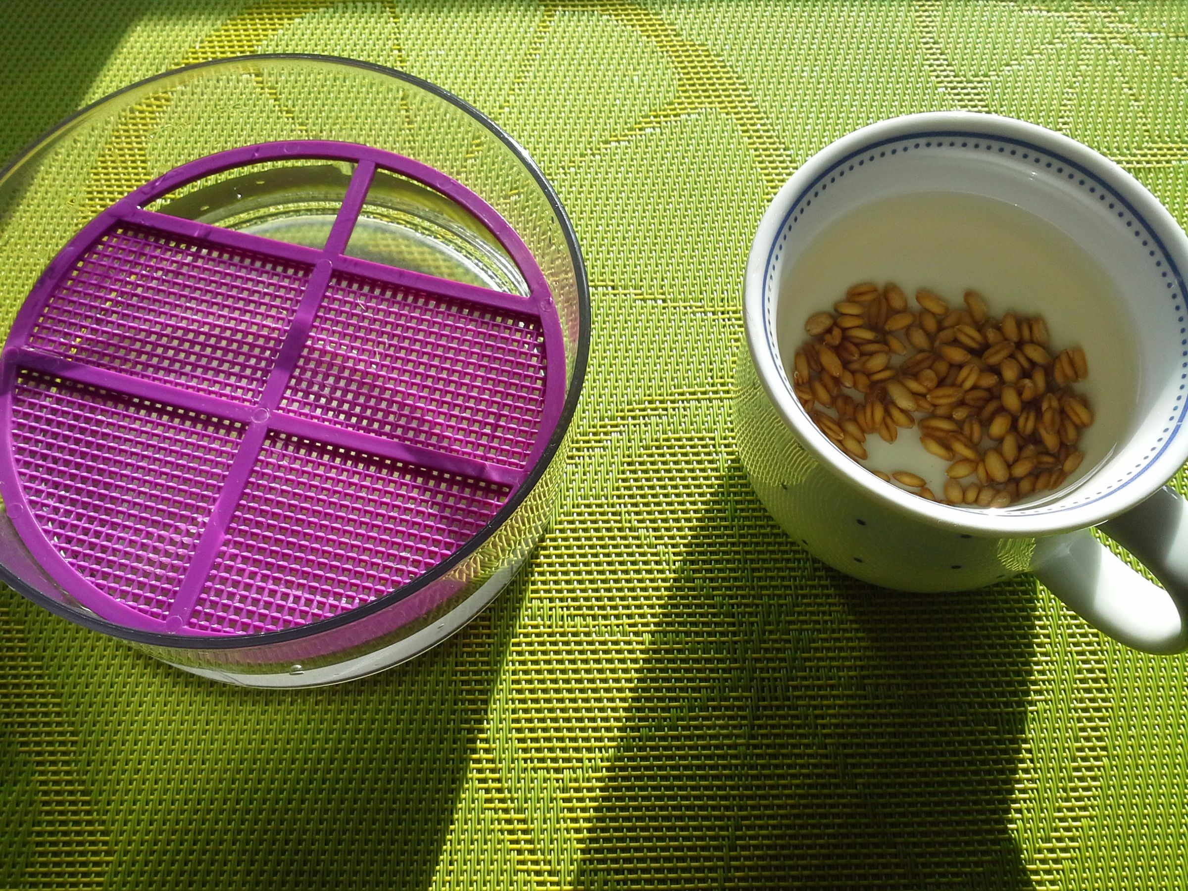 Pure Rye Bread : 31 Steps (with Pictures) - Instructables