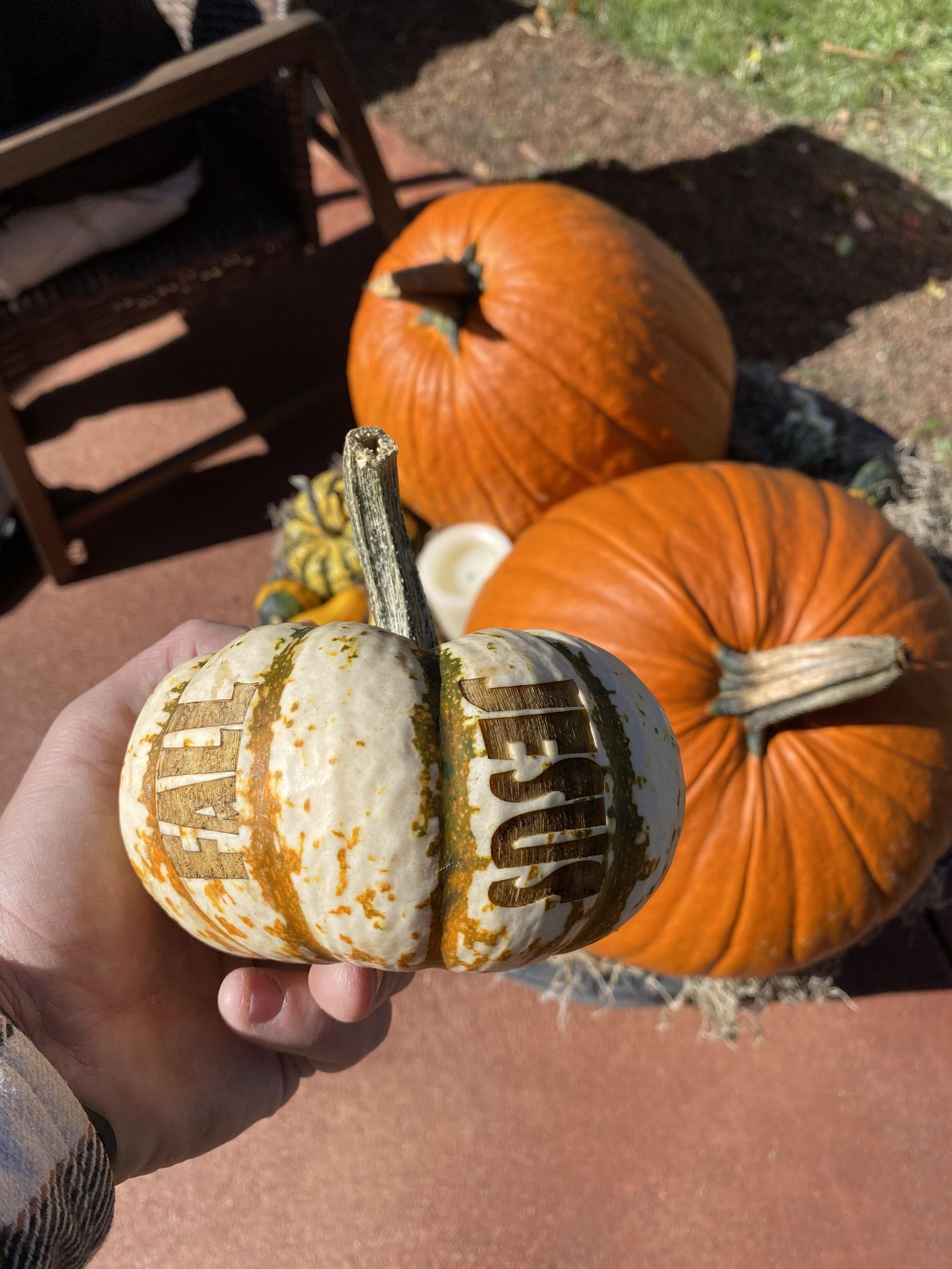 Laser Engraved Pumpkins : 8 Steps - Instructables