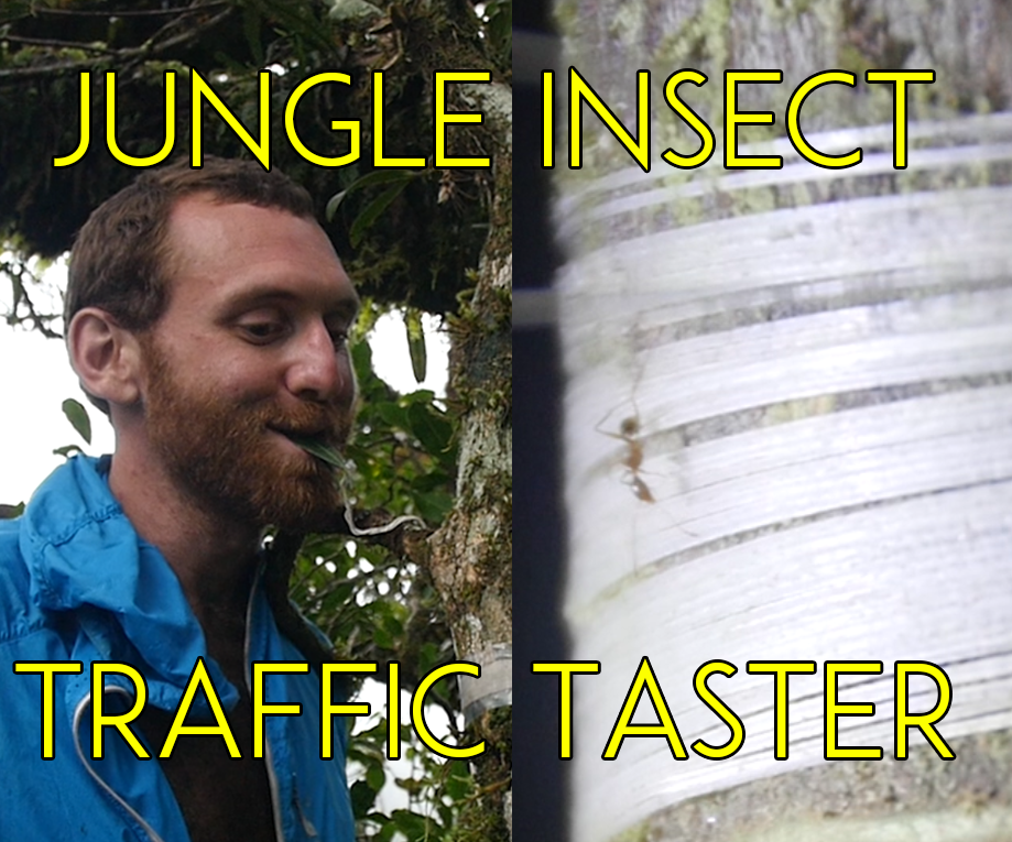 Fiber-Optic Jungle Insect Traffic Taster : 17 Steps (with Pictures ...