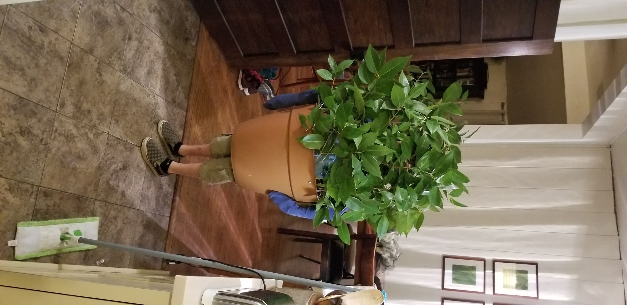 Shrub (Bush, Plant) Costume : 3 Steps (with Pictures) - Instructables