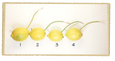TEACH YOUR CHILD STEP BY STEP HOW TO GENERATE ELECTRICITY WITH LEMON ...