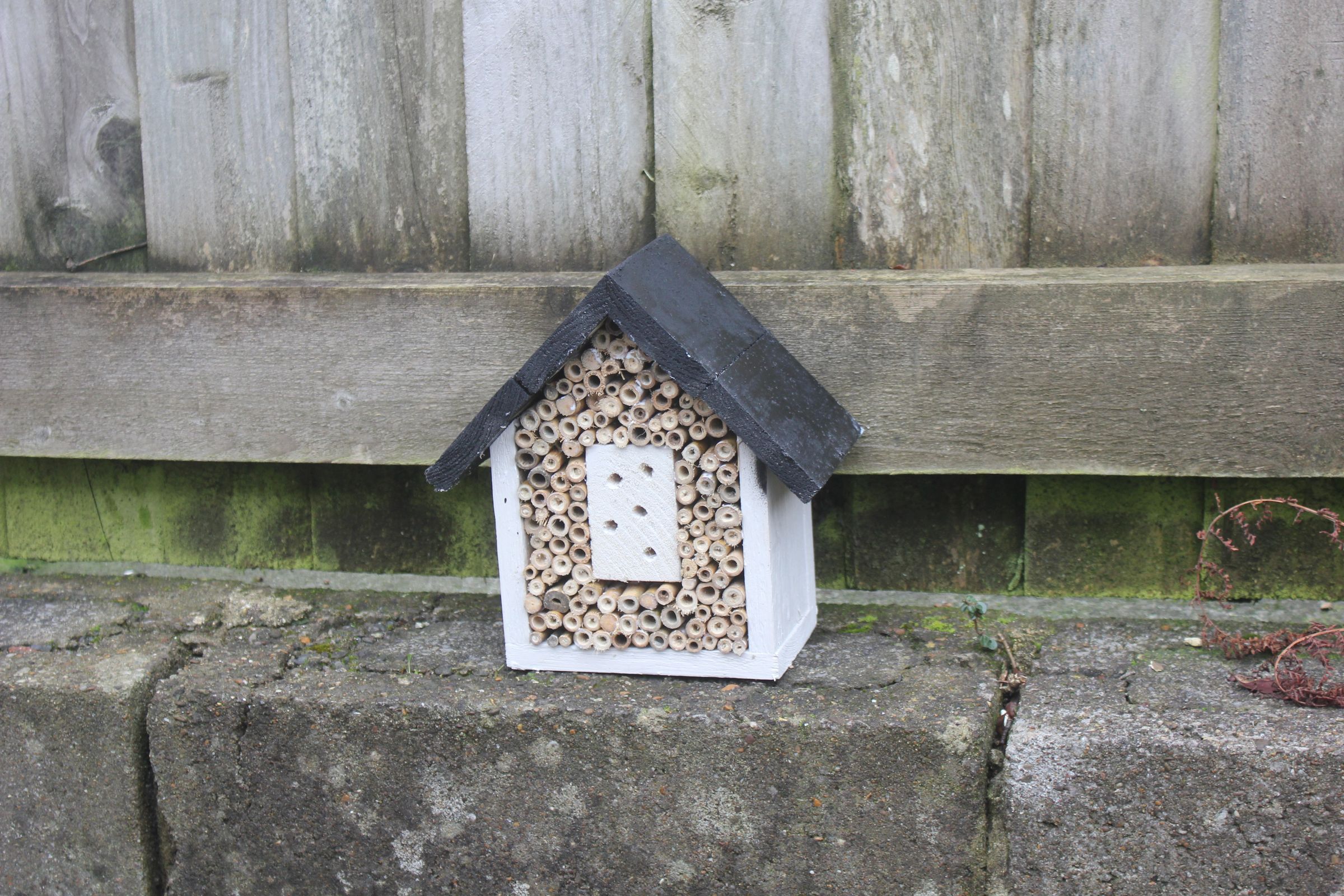 Build an Insect Hotel From Pallets : 6 Steps (with Pictures ...