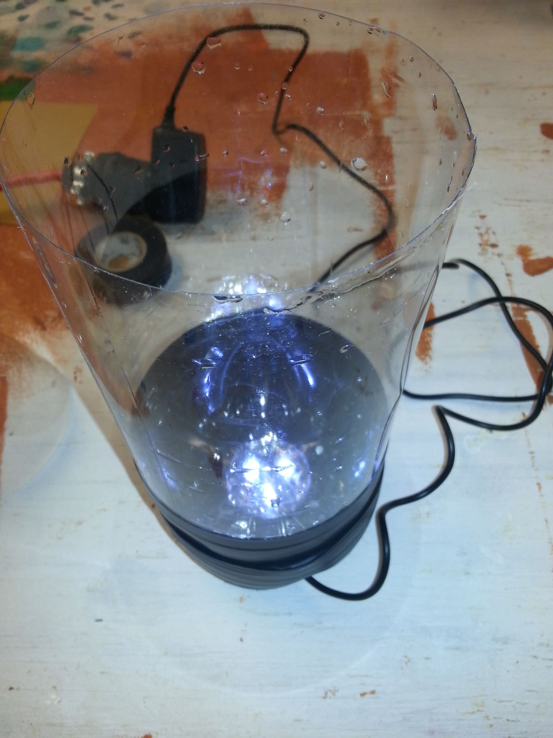 The Inescapable Stink Bug Trap : 5 Steps - Instructables
