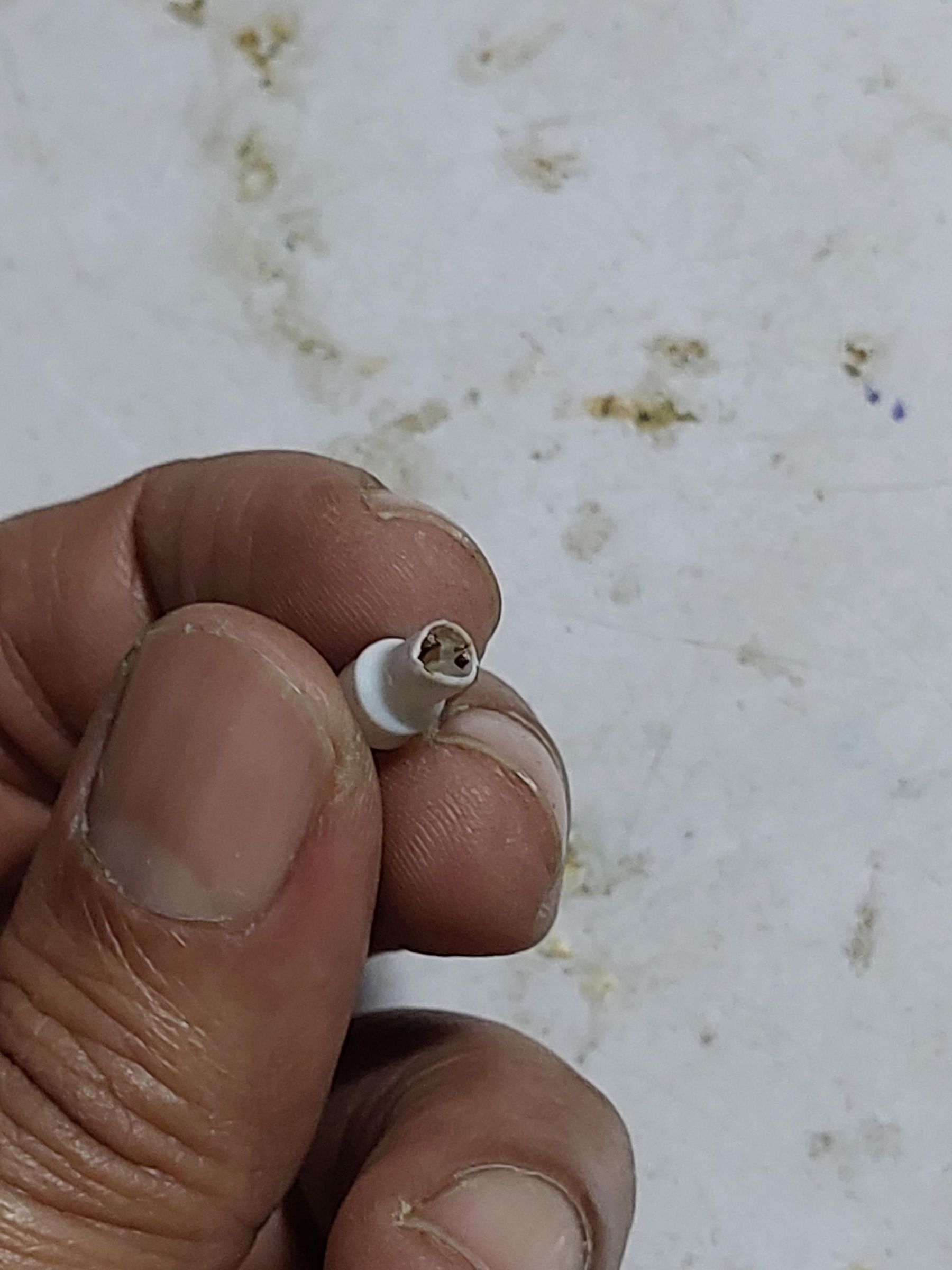How to Easily Fix Broken Christmas Lights:Don't Throw Them Out! : 5 Steps - Instructables