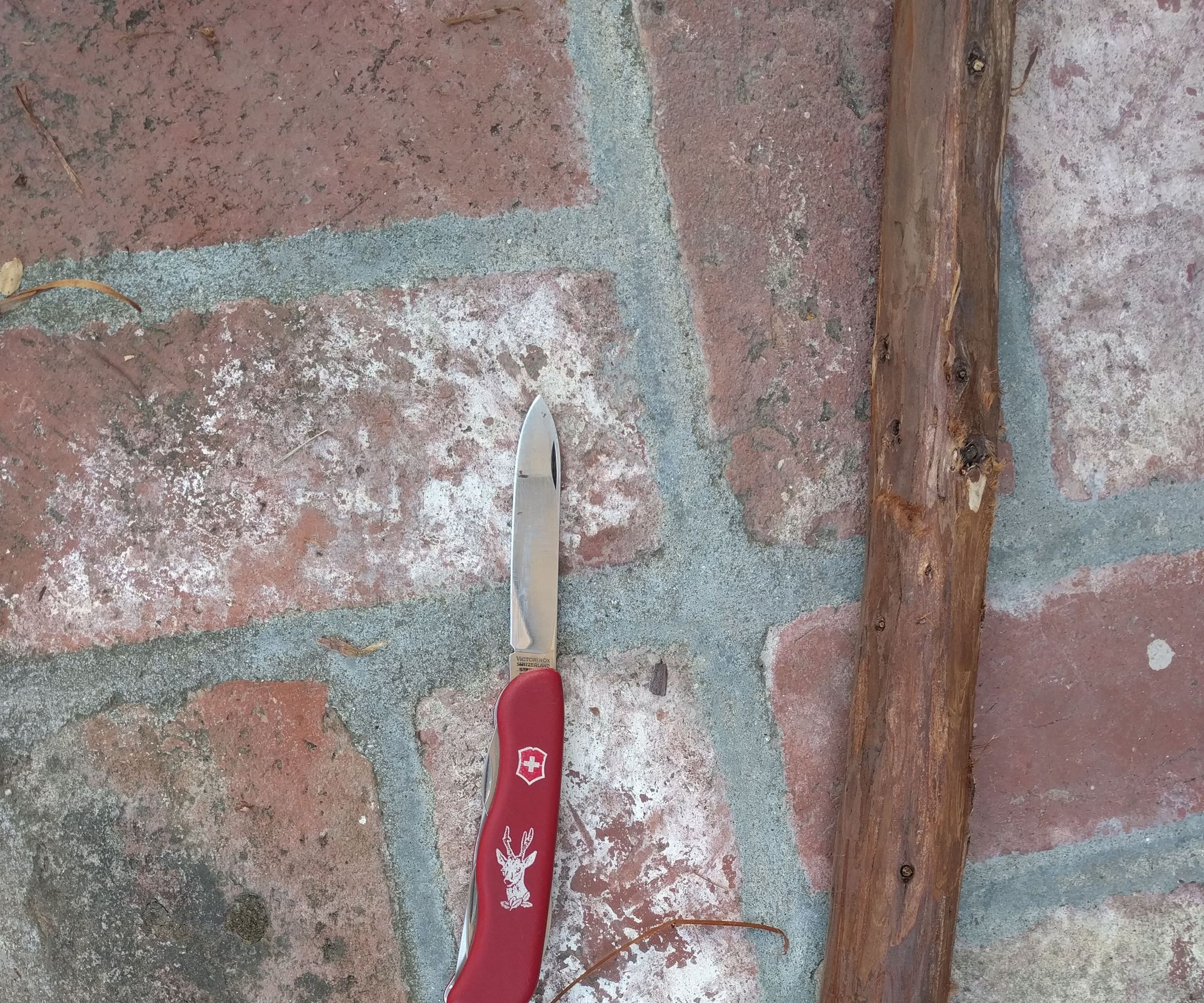 How to Make a Wooden Hiking/Walking Stick : 5 Steps - Instructables