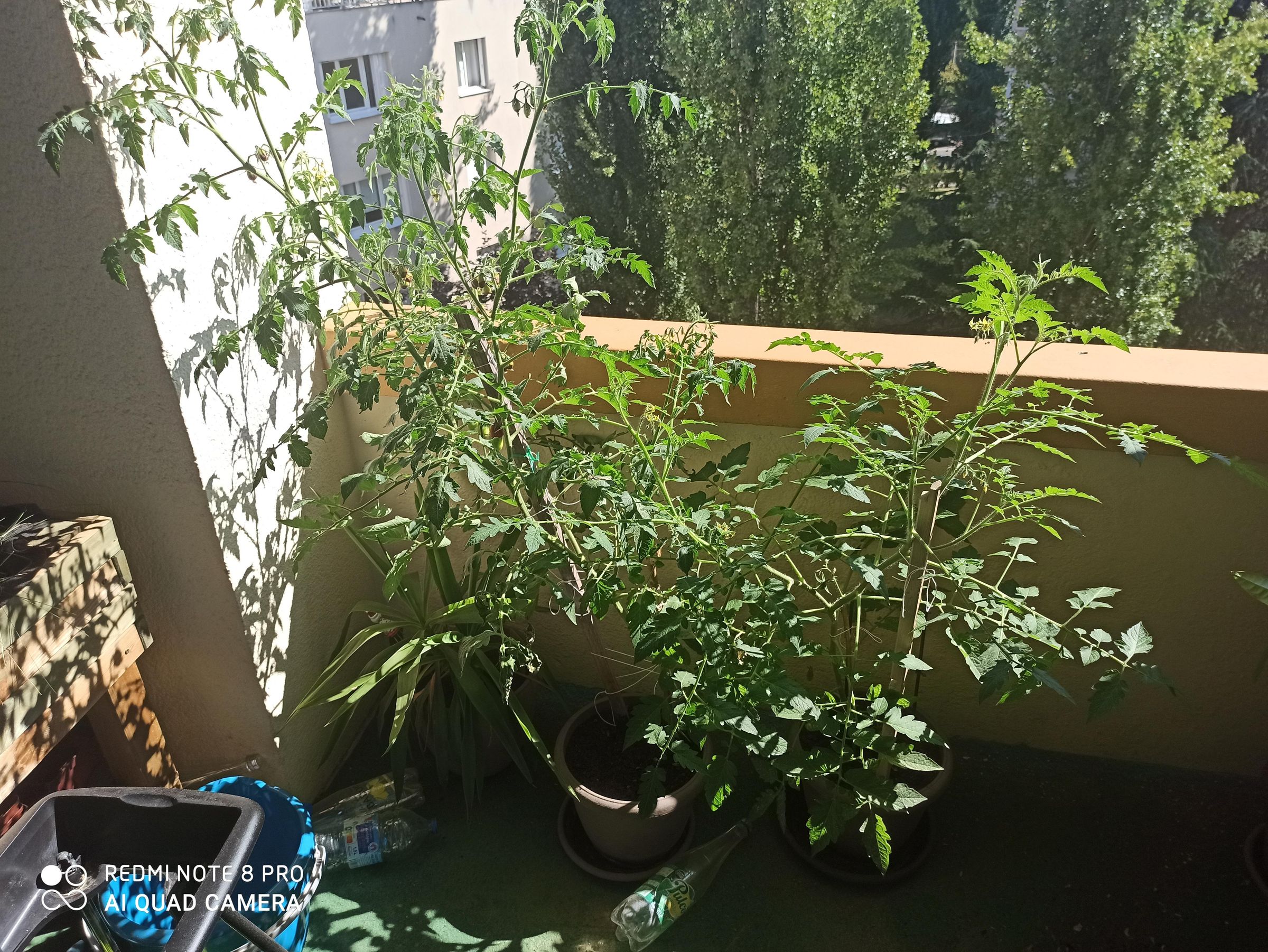 Easy Programmable Watering System With Arduino : 4 Steps - Instructables