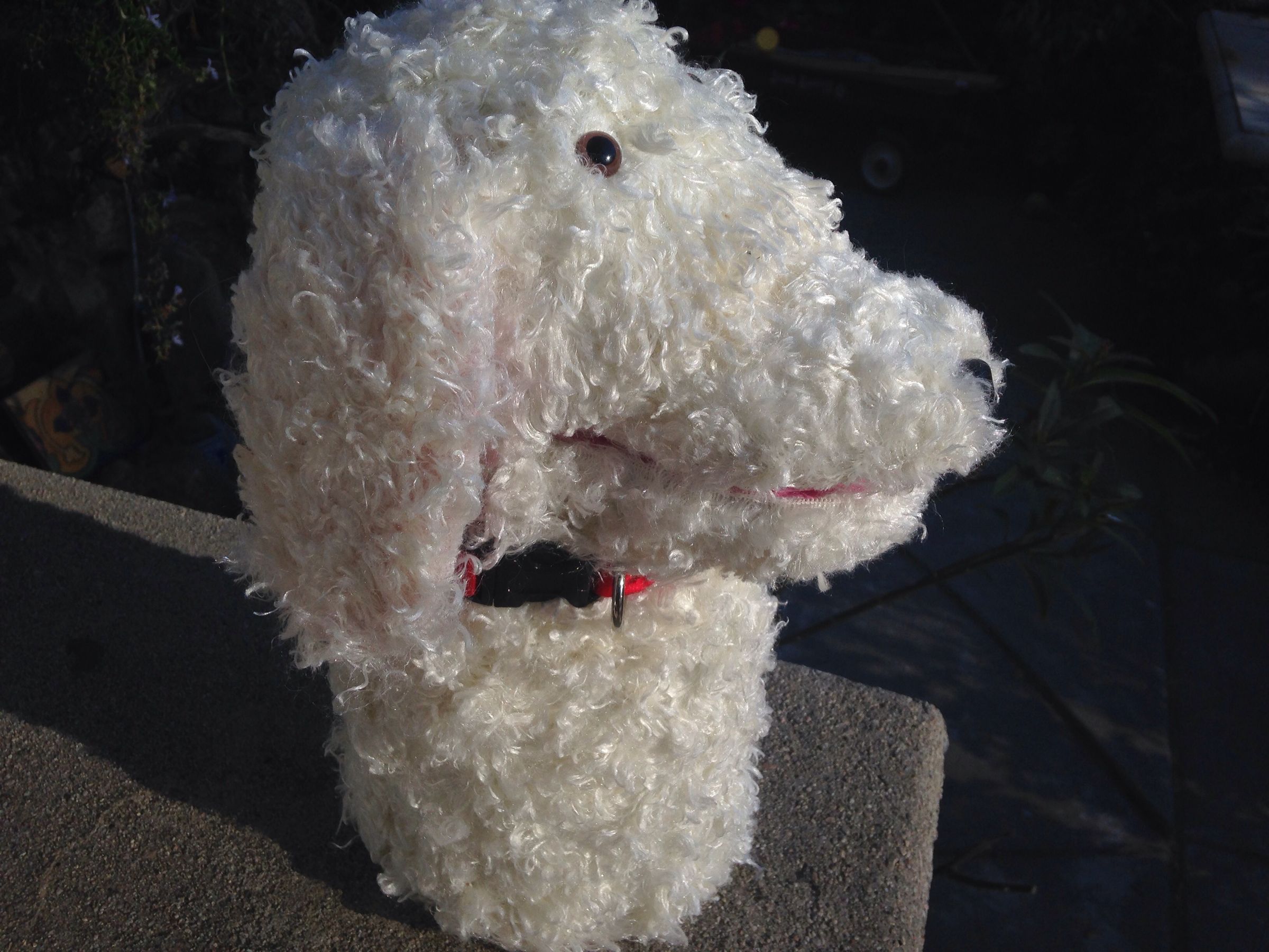 DIY Dog Puppet : 5 Steps (with Pictures) - Instructables