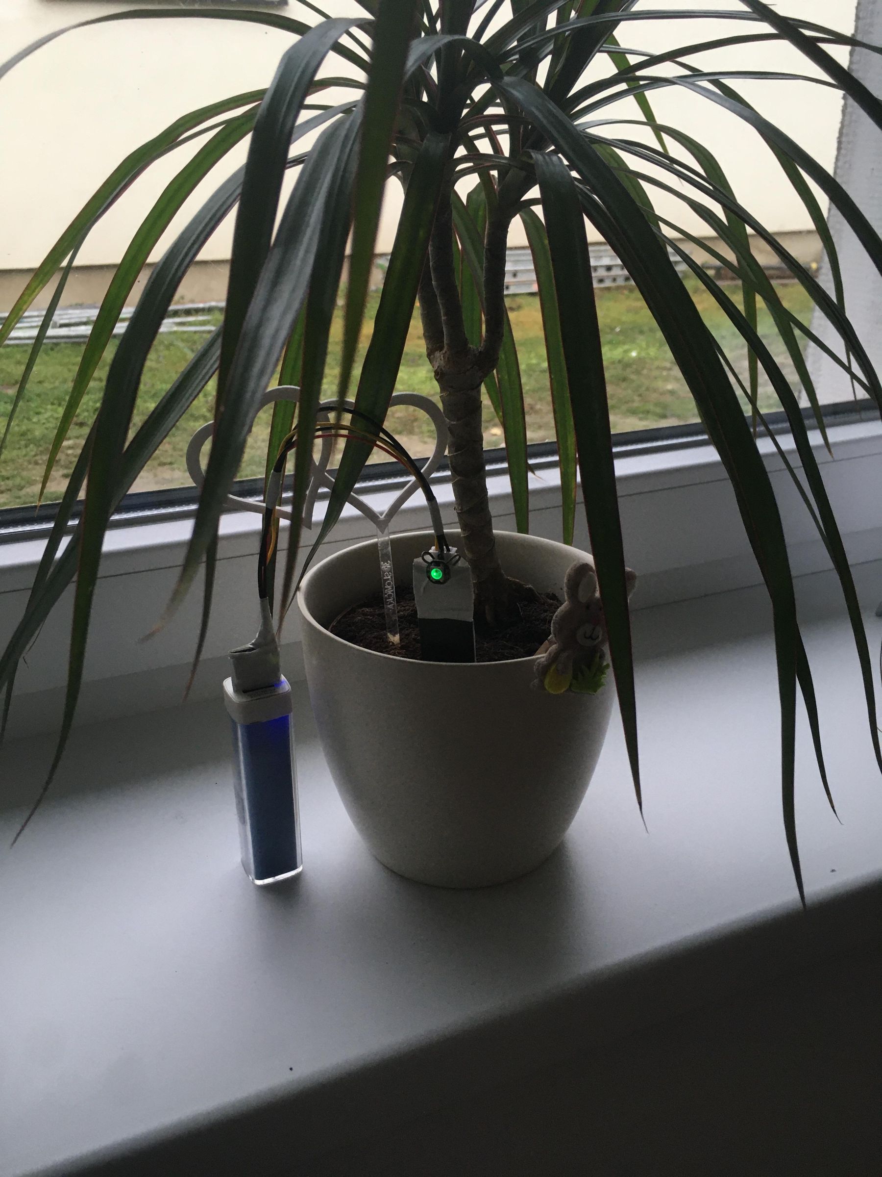 Digispark Attiny 85 Moisture Sensor With Neopixel Indicator : 4 Steps ...