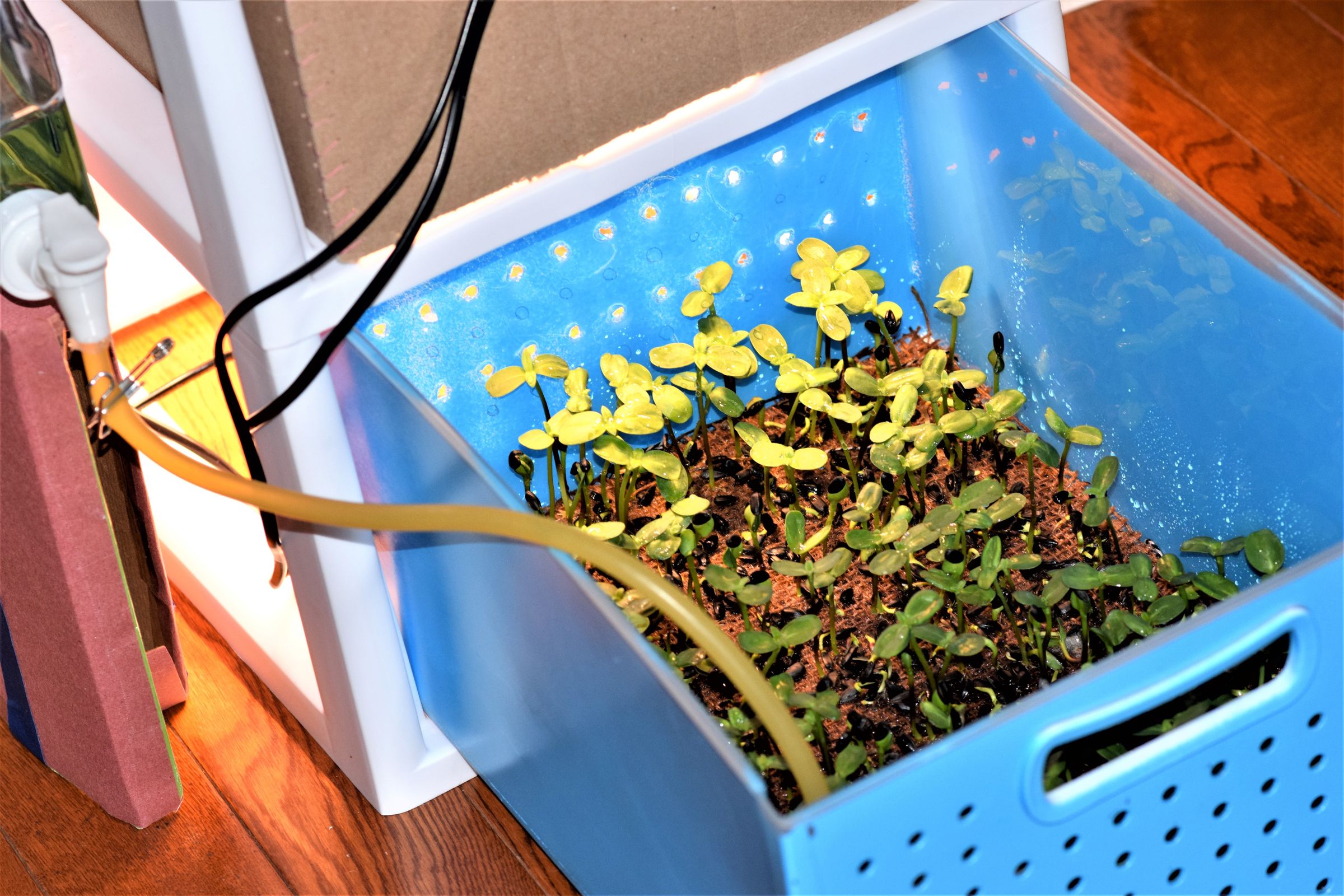 Growing Cube With Drawer for Spacecraft - Year-Round Indoor Salad ...