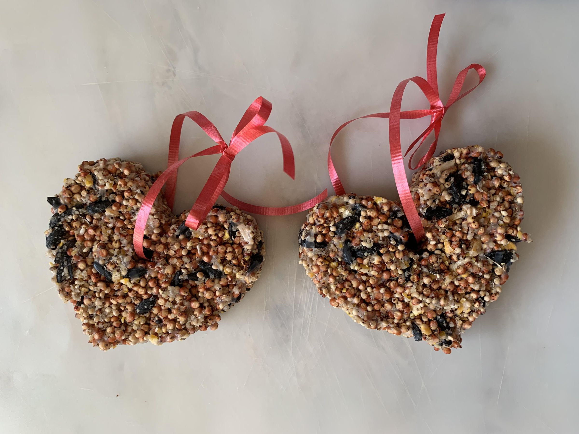 Hanging Bird Seed Hearts : 8 Steps (with Pictures) - Instructables