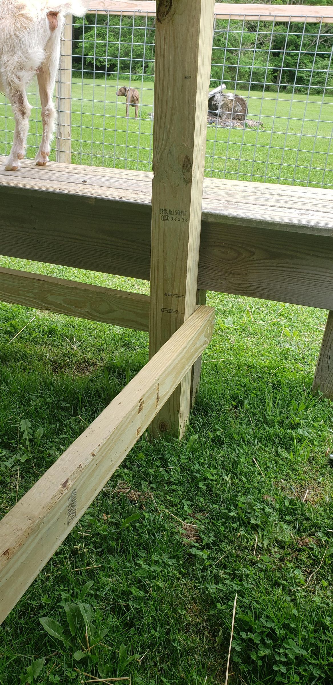 Goat Tower With Slide : 8 Steps (with Pictures) - Instructables