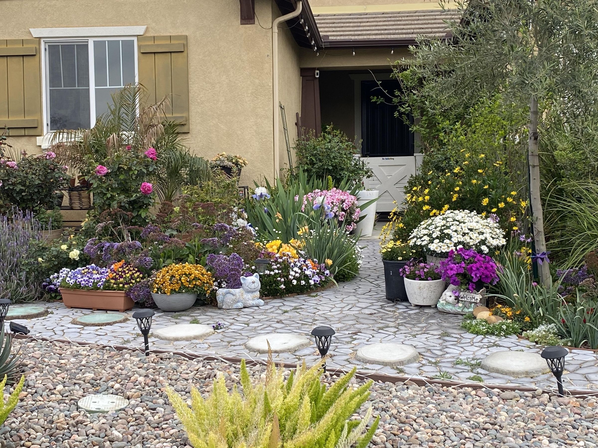 My Garden Project - Combination of Landscaping, Irrigation and Flower ...