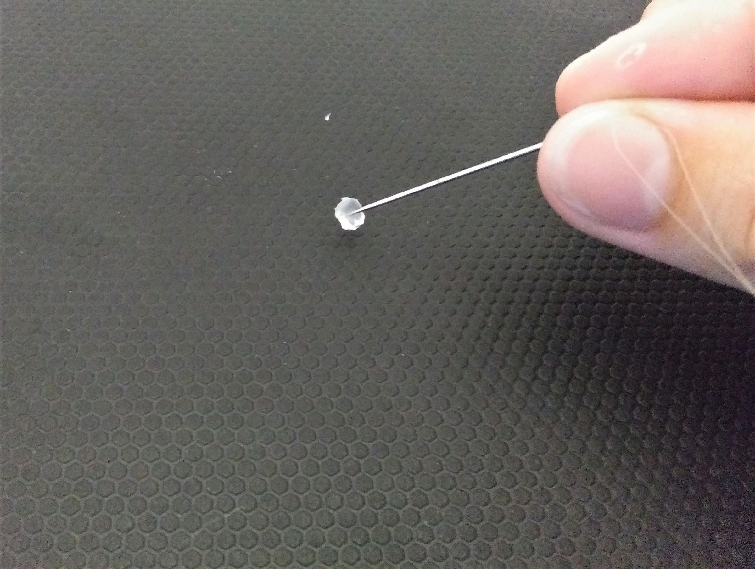 Ocean in a Bottle With Moon Jellyfish Pendant : 4 Steps (with Pictures ...